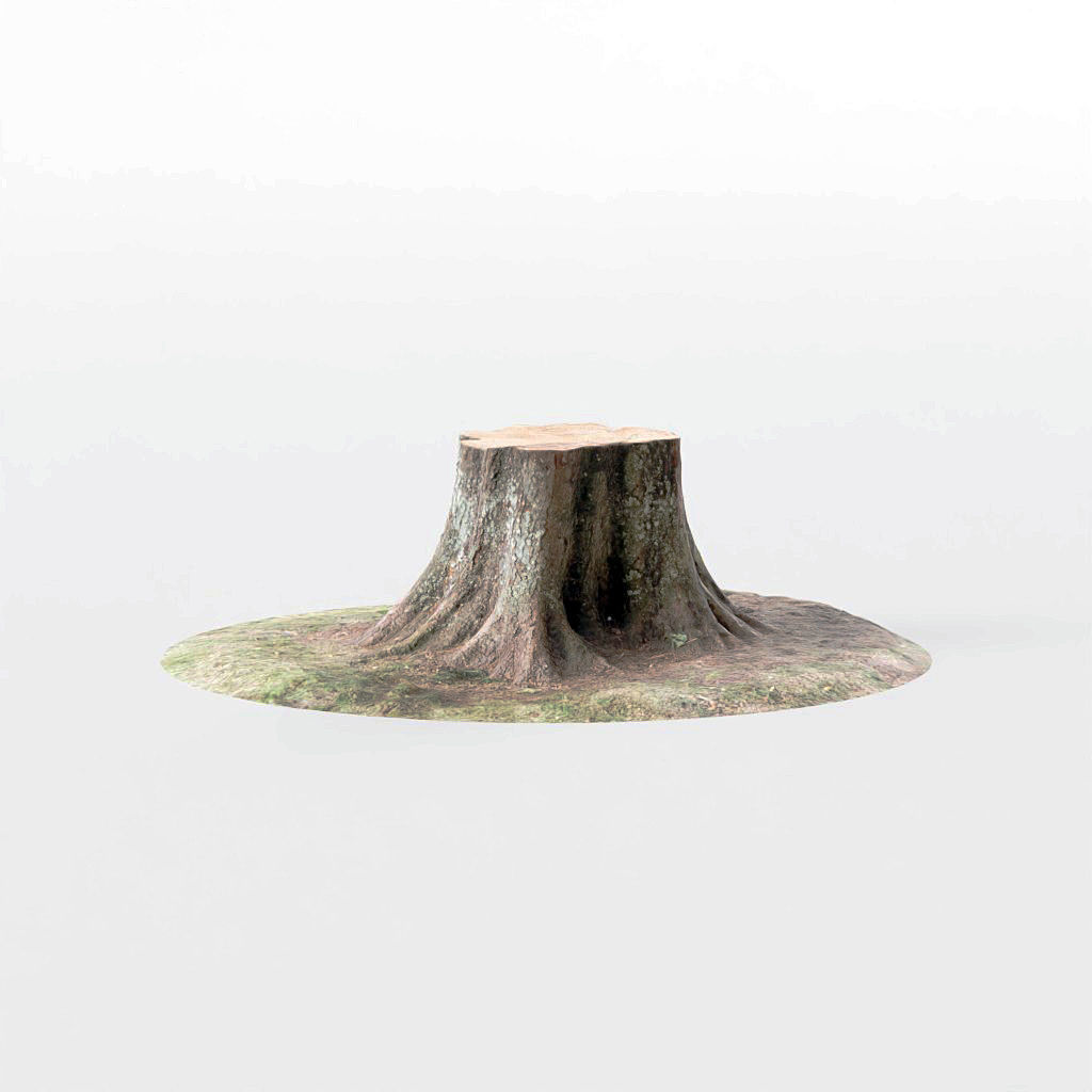 3D model Tree Stumps 6 Photoscanned Low-Poly VR / AR / low-poly | CGTrader