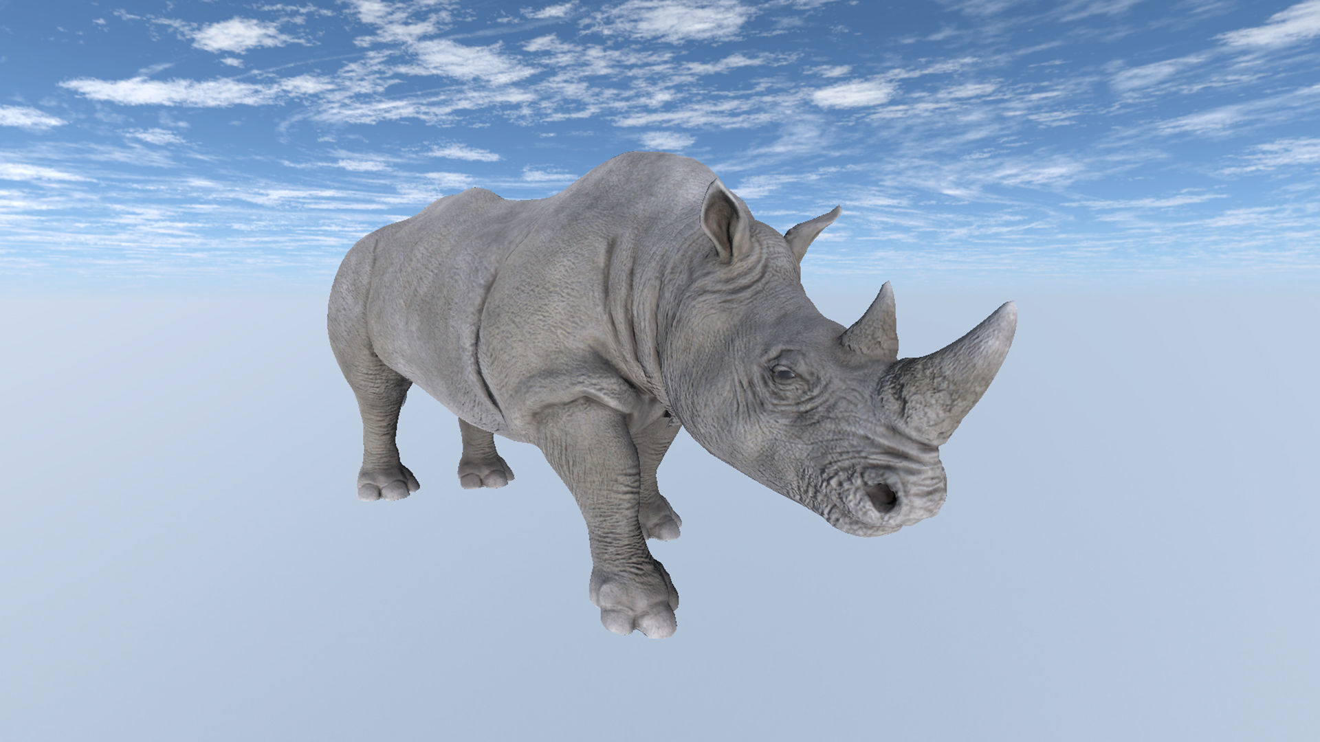 3D model Rhino VR / AR / low-poly | CGTrader