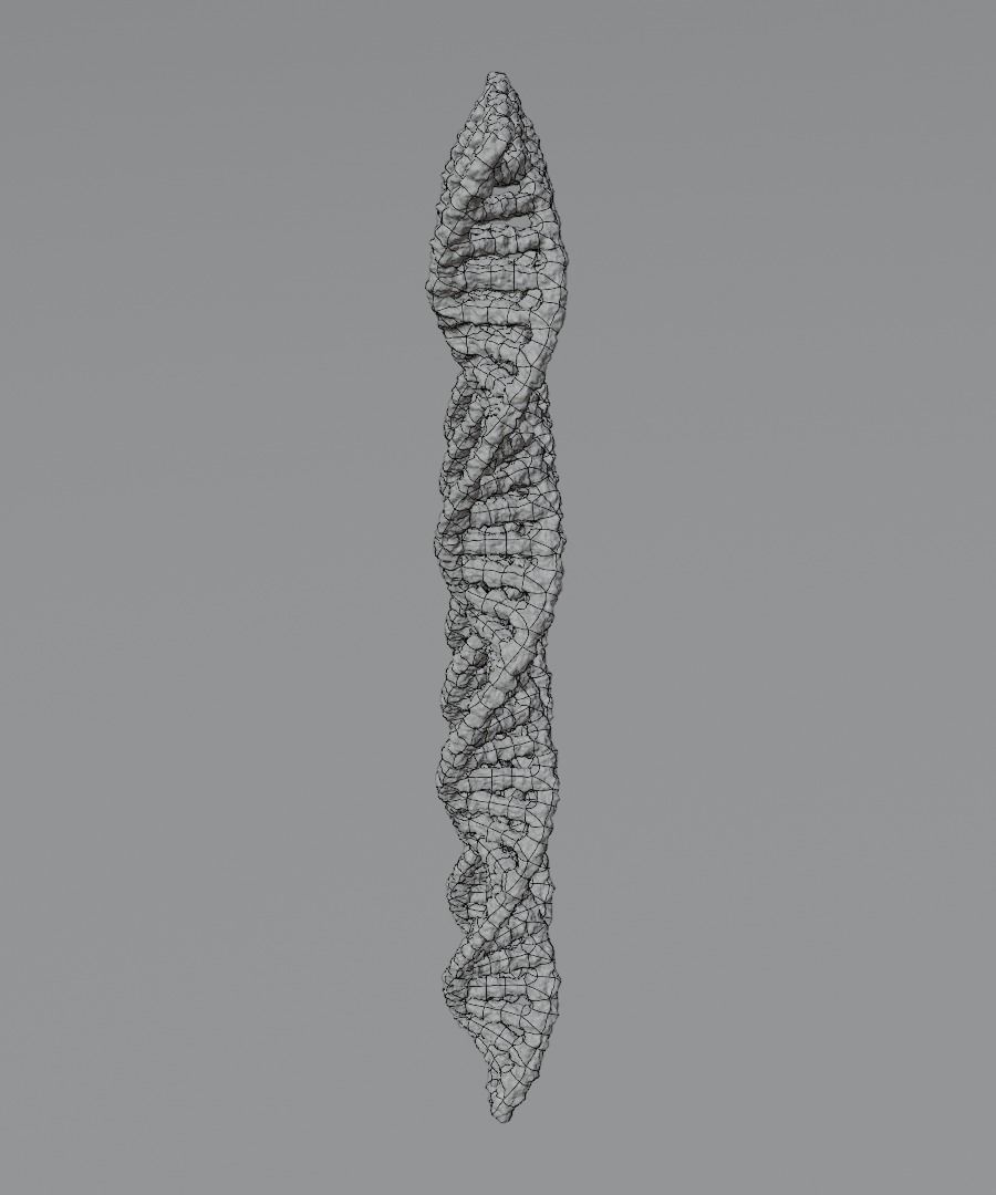 3D model DNA 3D model VR / AR / low-poly | CGTrader