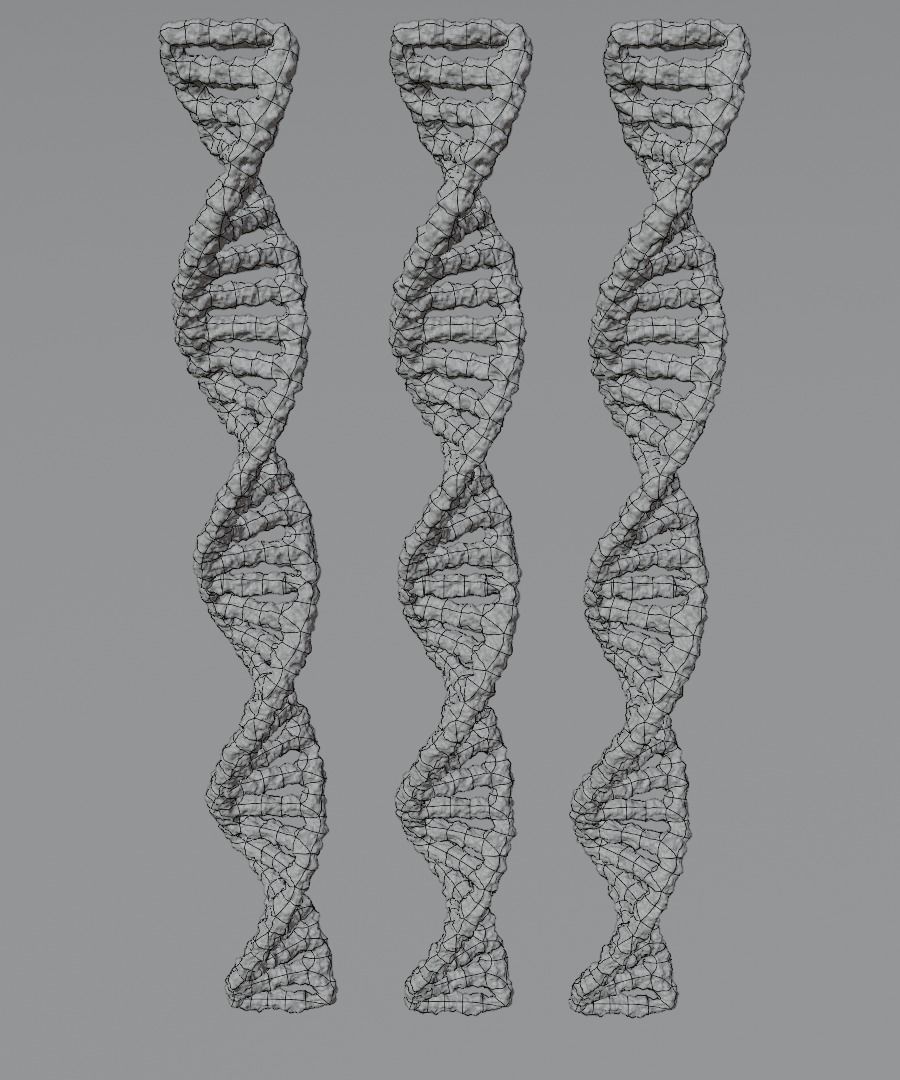 3D model DNA 3D model VR / AR / low-poly | CGTrader
