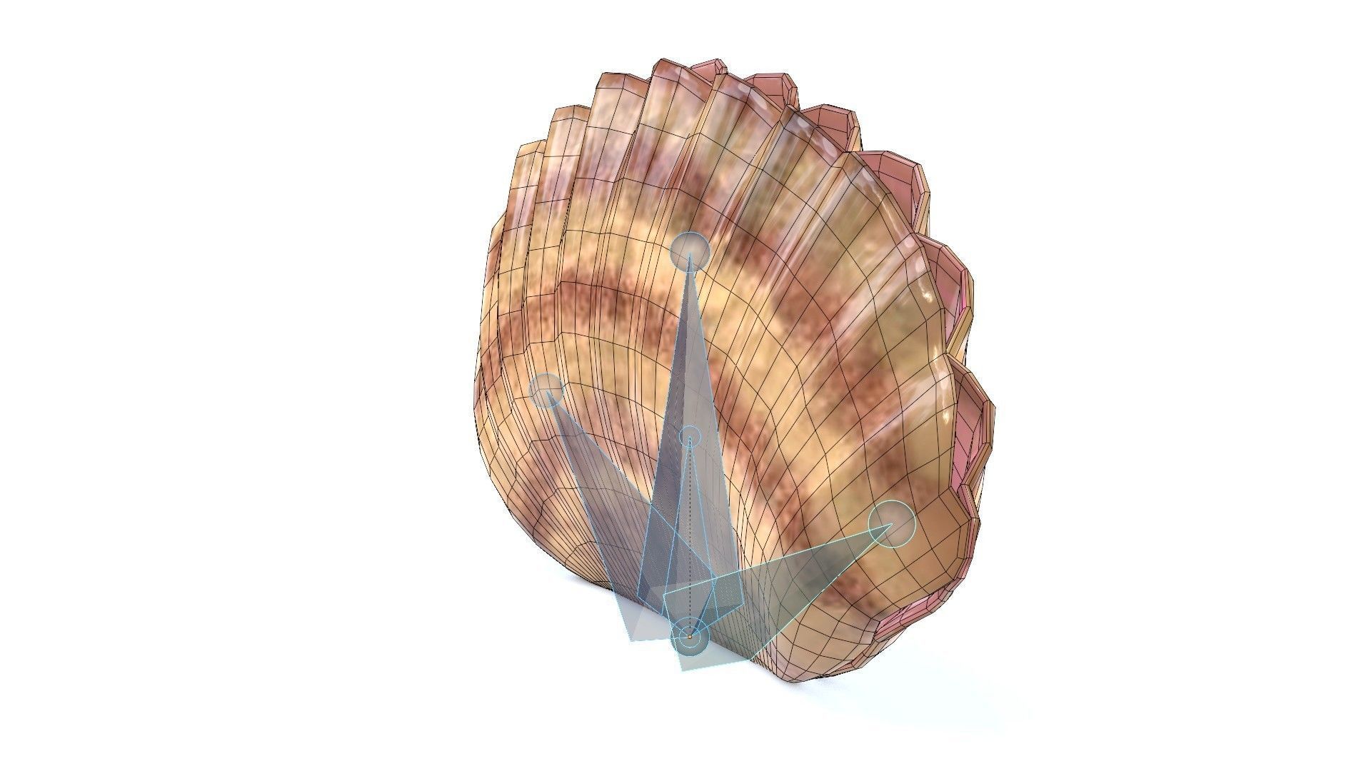 3D model seashell monster VR / AR / low-poly | CGTrader