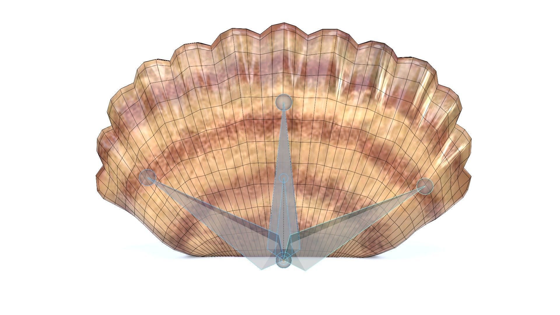 3D model seashell monster VR / AR / low-poly | CGTrader