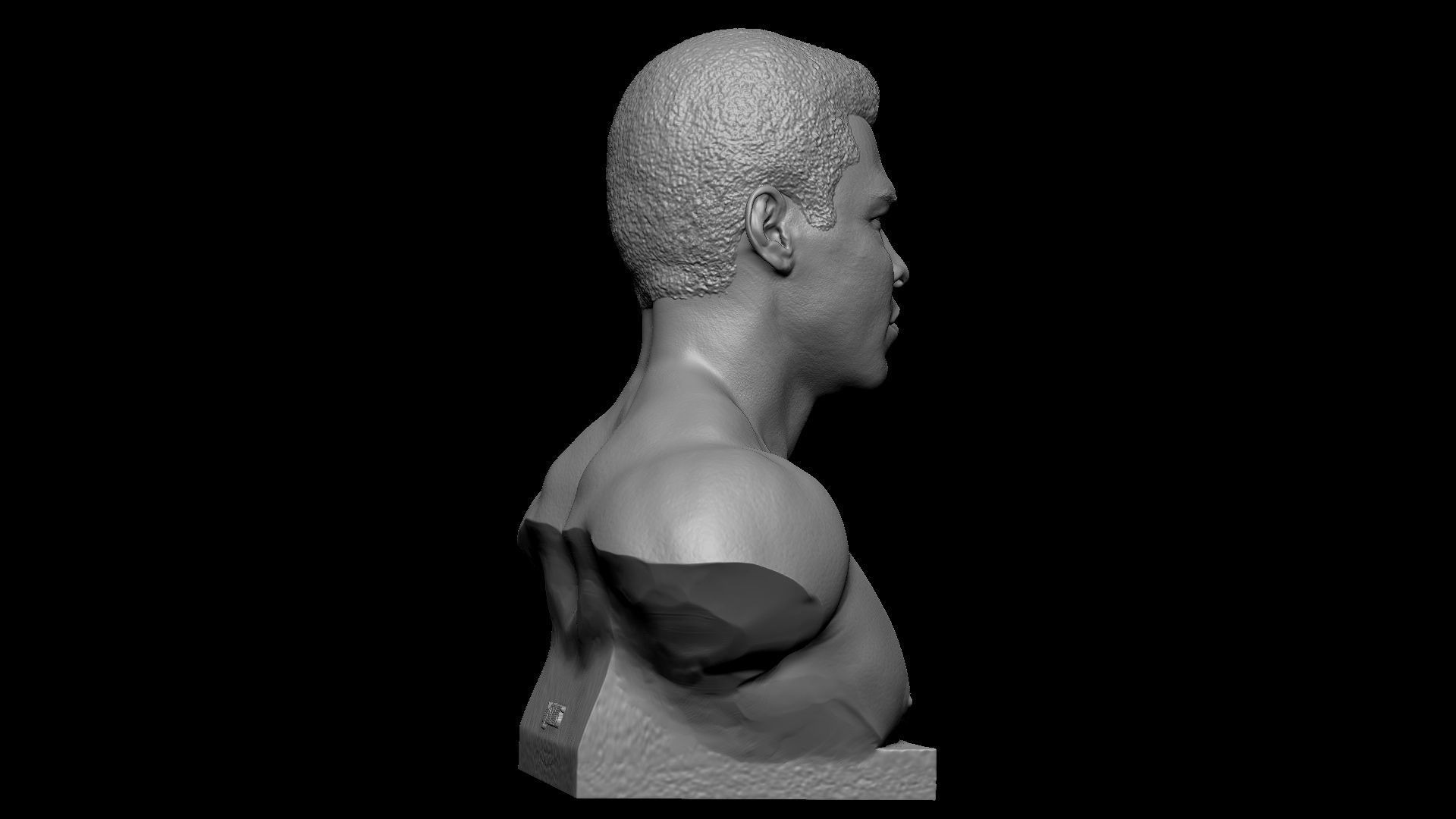Muhammad Ali 3D model 3D printable | CGTrader