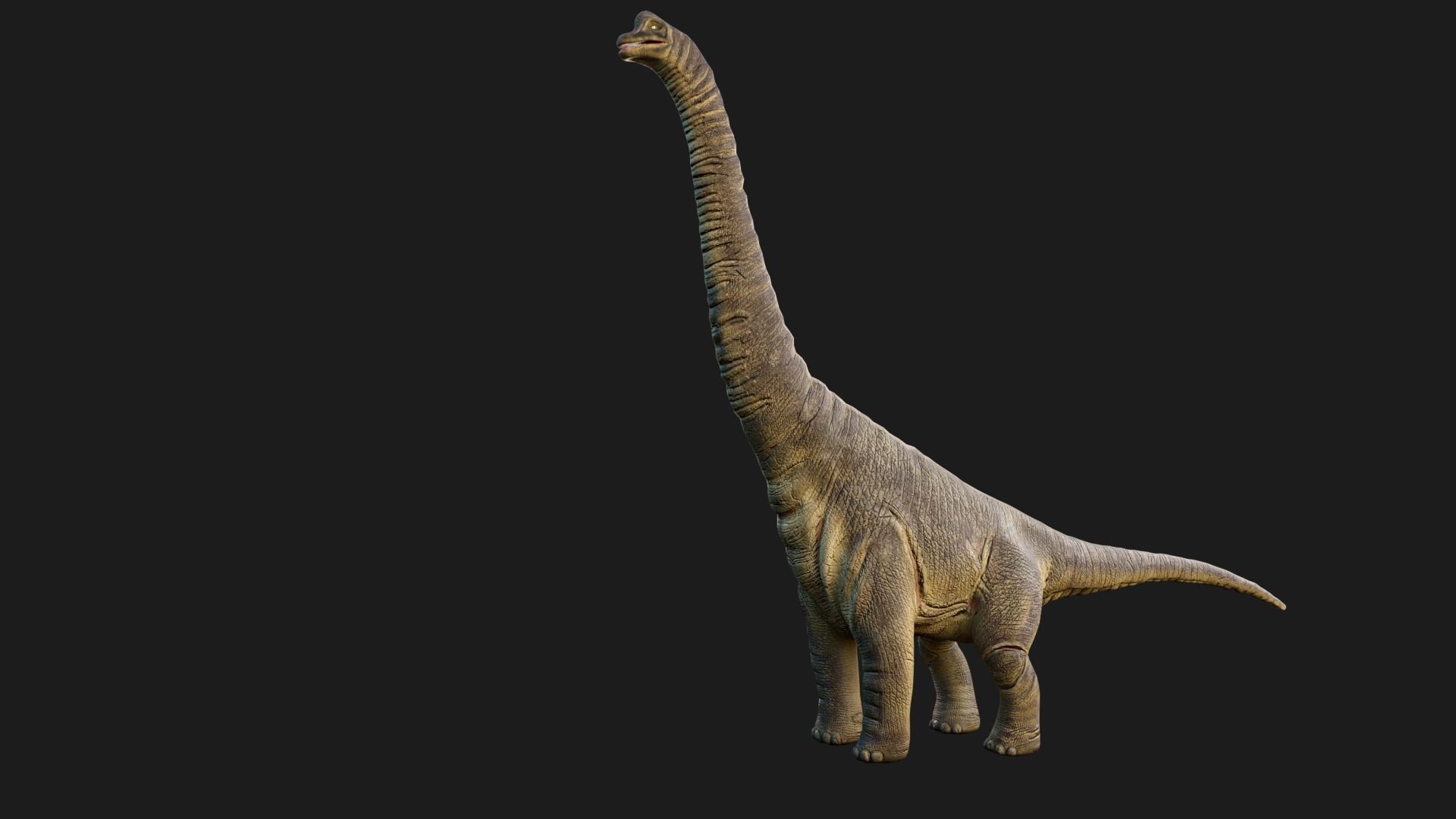 3D model Brachiosaurus 3D Model - Realistic and Versatile 3D model VR ...