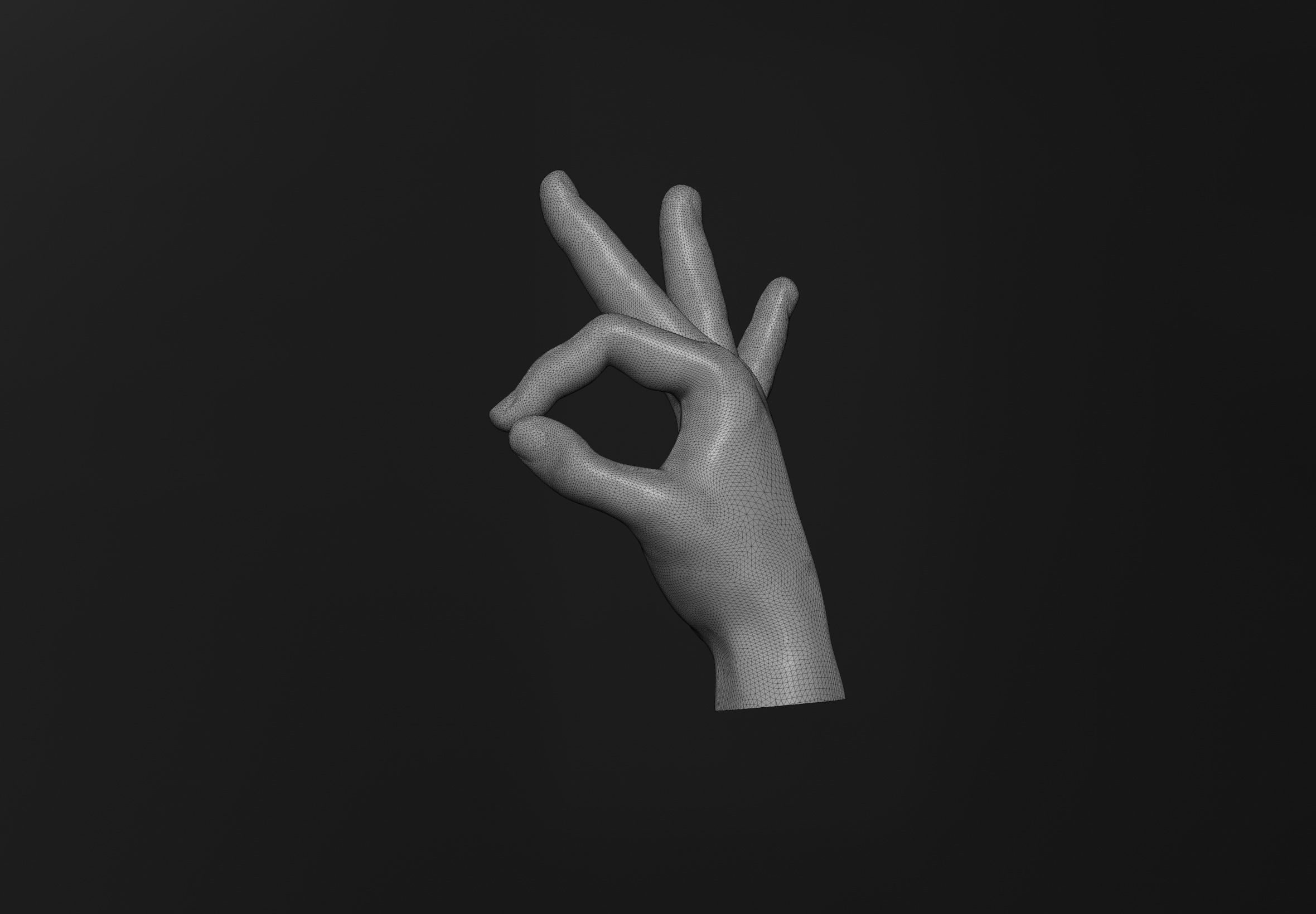 OK Male Hand 3D model | CGTrader