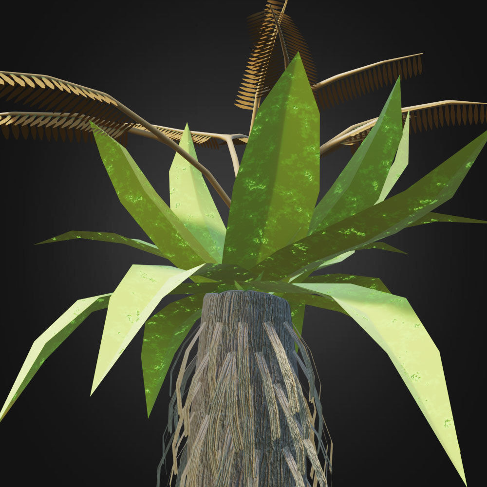 Tropical Plant 3D model | CGTrader