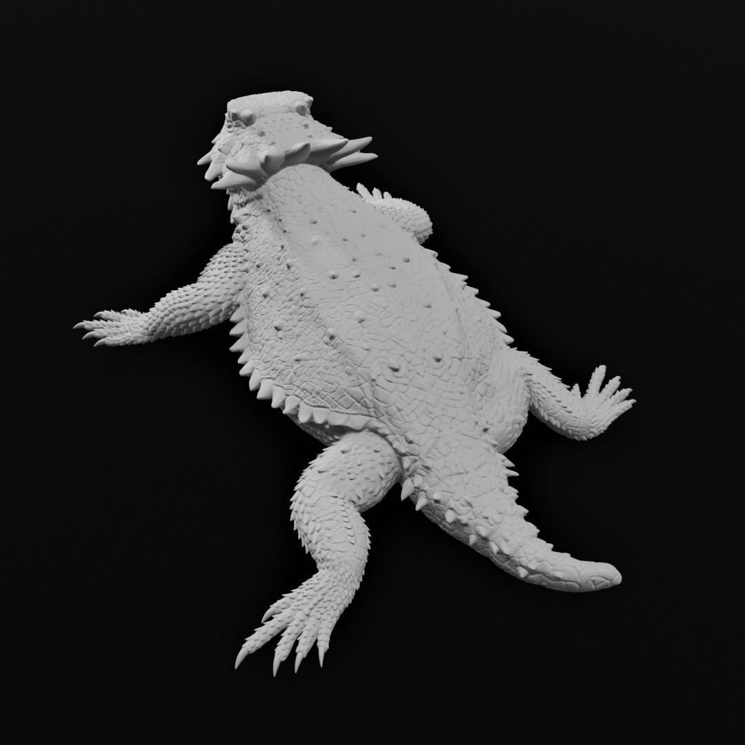 Regal Horned Lizard - Phrynosoma solare 3D Print 3D model 3D printable ...