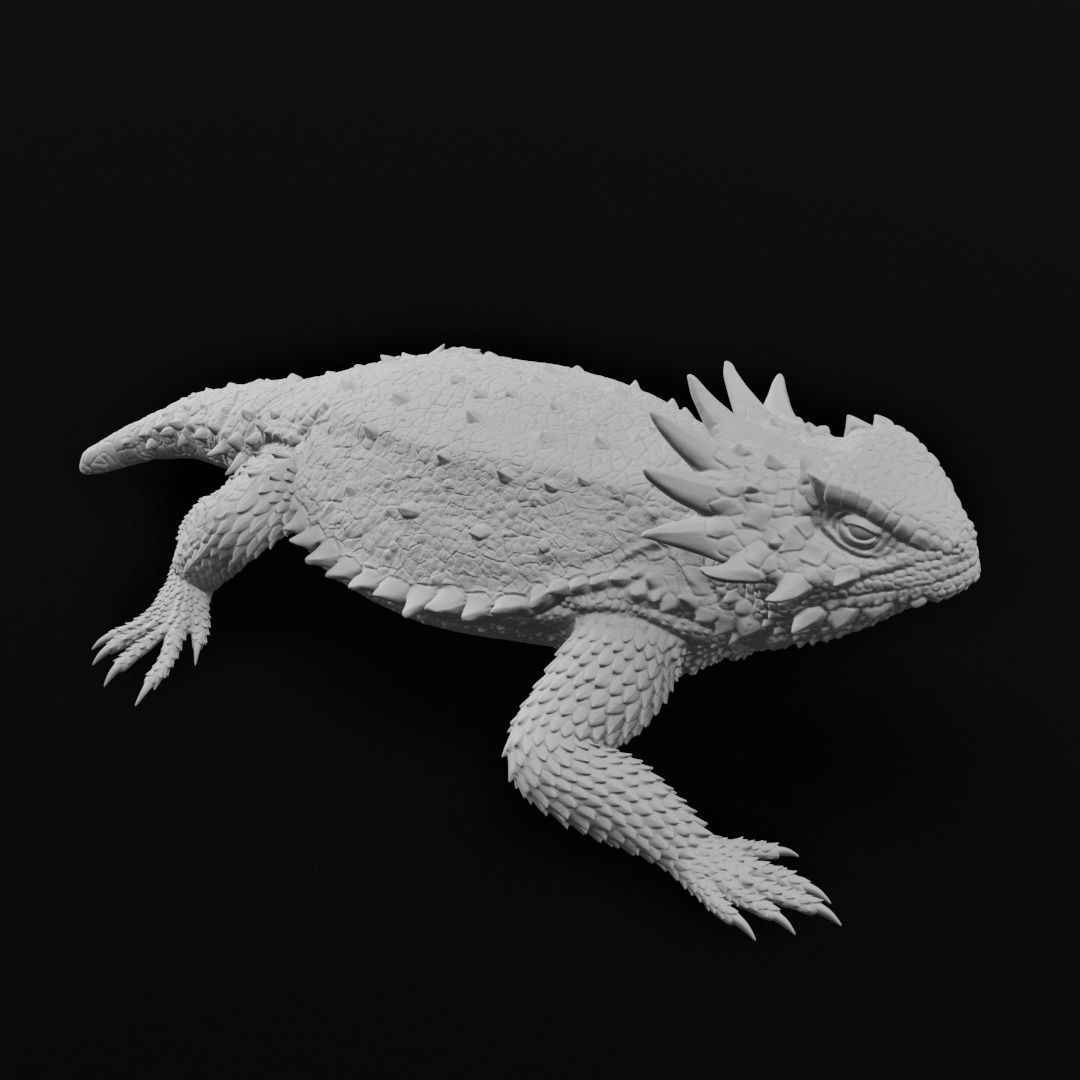 Regal Horned Lizard - Phrynosoma solare 3D Print 3D model 3D printable ...