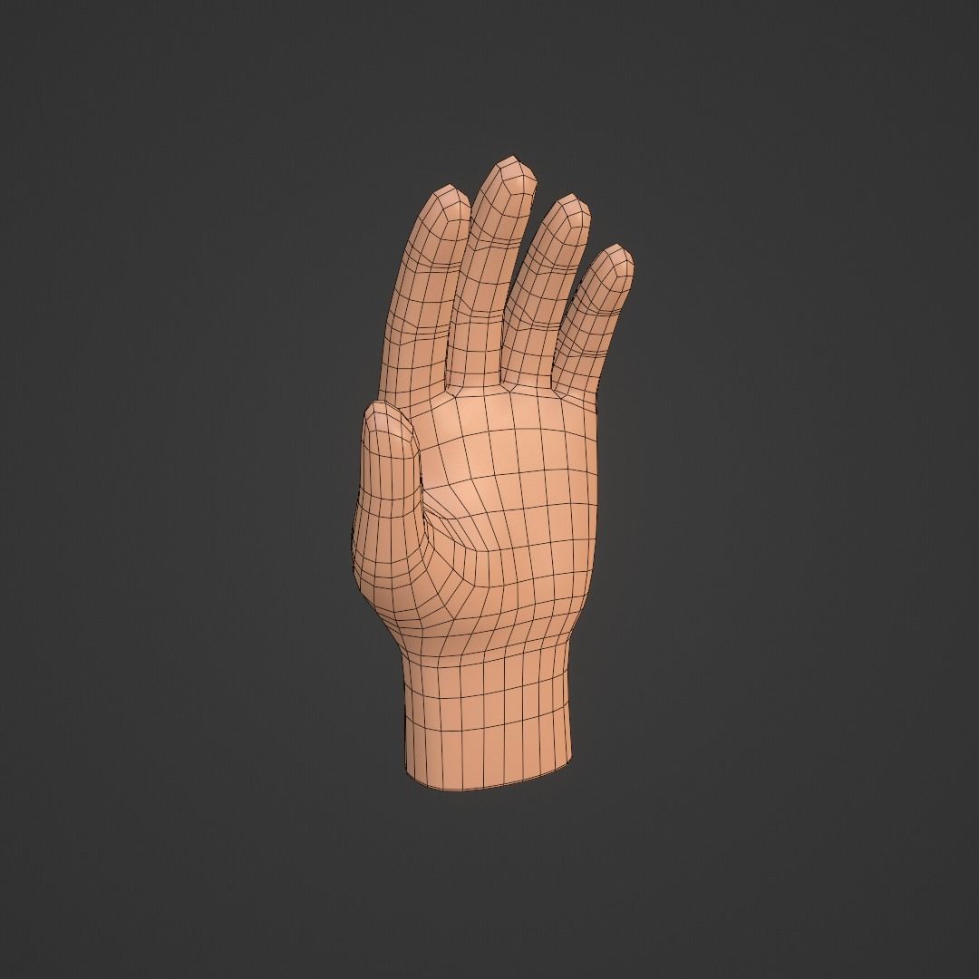 Simple Cartoon hand rigged free 3D model rigged | CGTrader