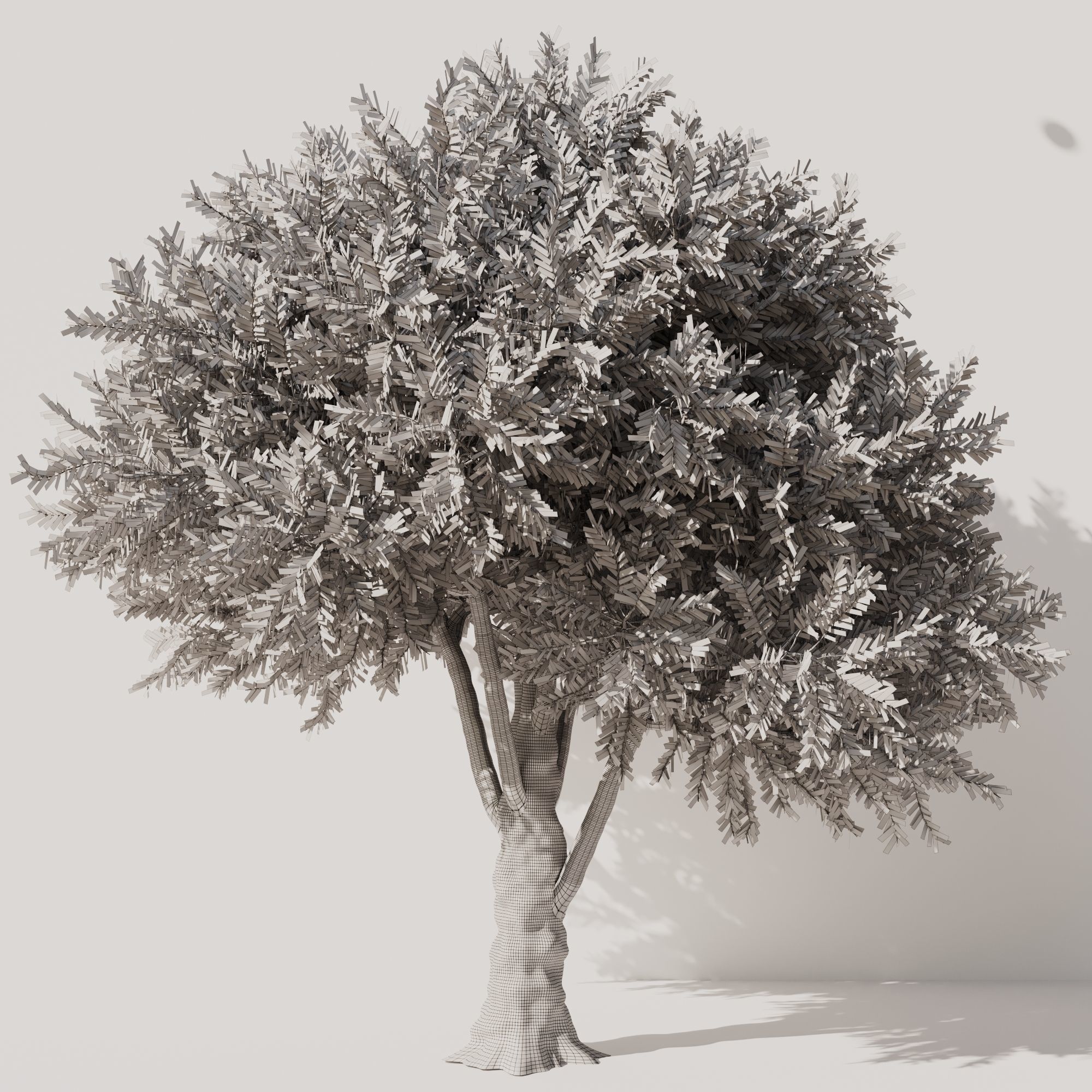 Olive Tree Set6 3D model | CGTrader