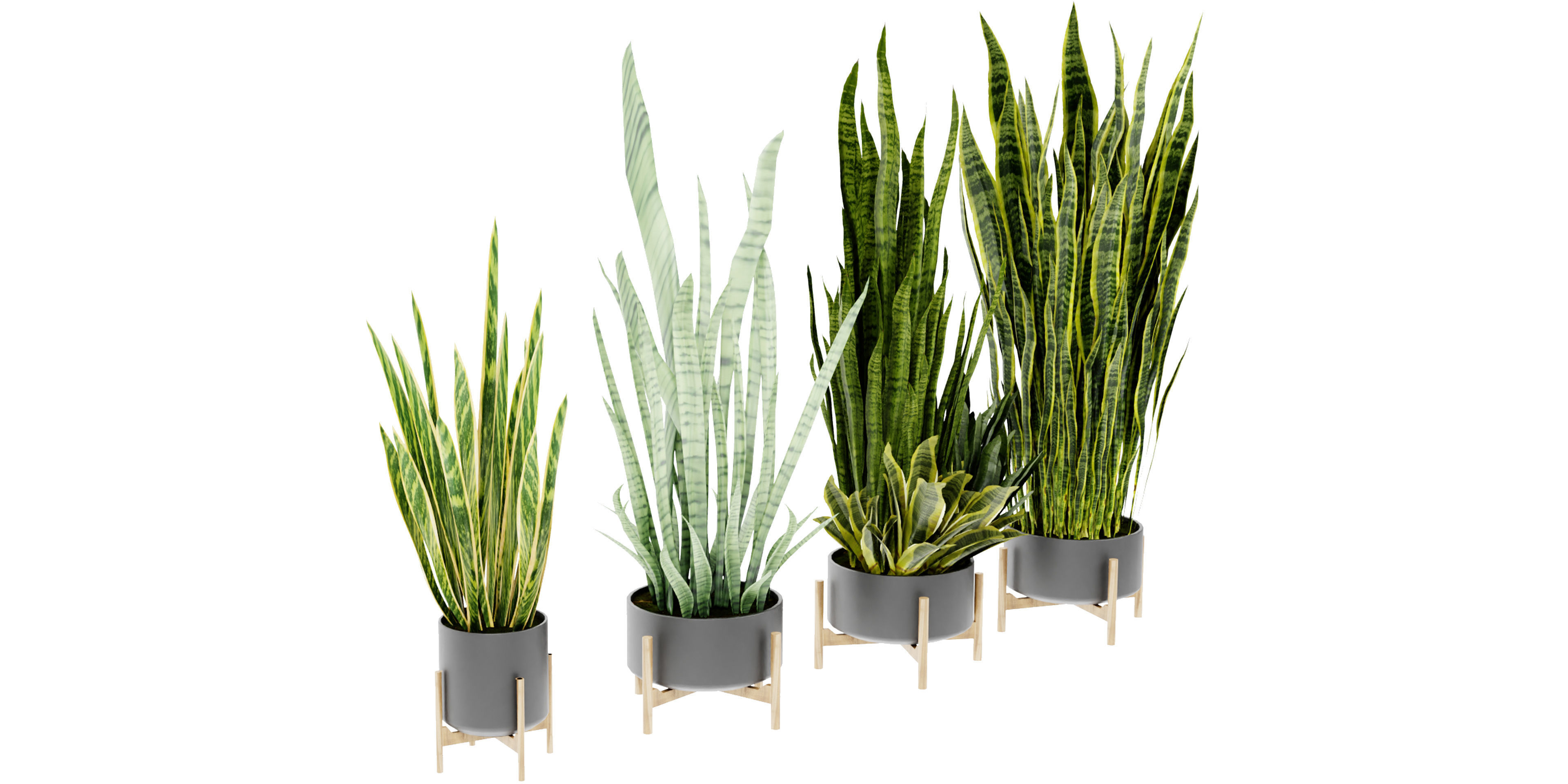 Collection plant vol 447 - blender model 3D model | CGTrader