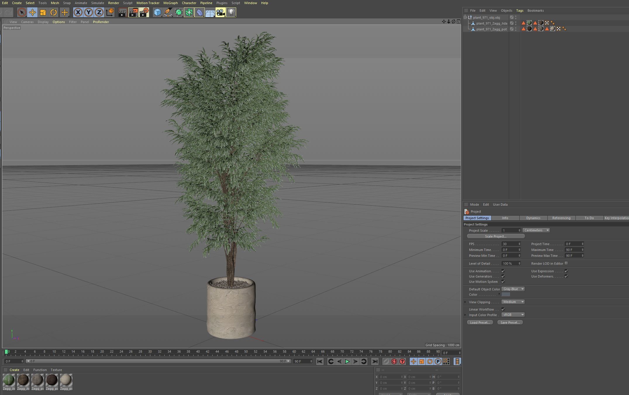 Plants collection 971 3D model | CGTrader