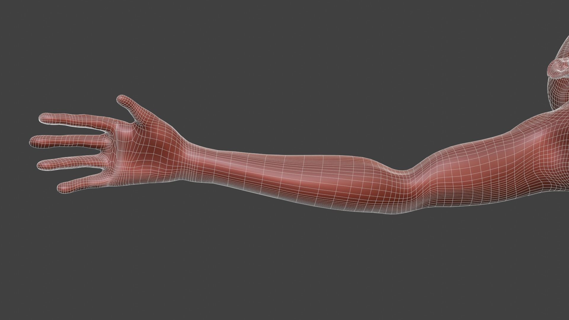 Stylized Female Character 3d model 3D model | CGTrader