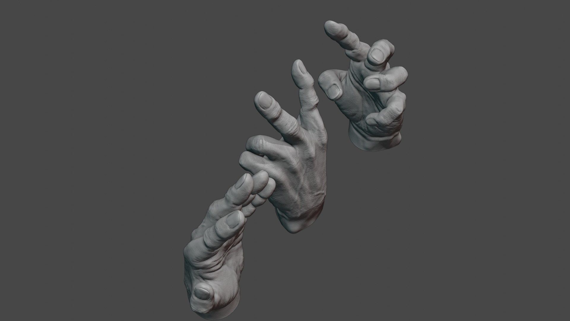 Human hand 3D model rigged | CGTrader