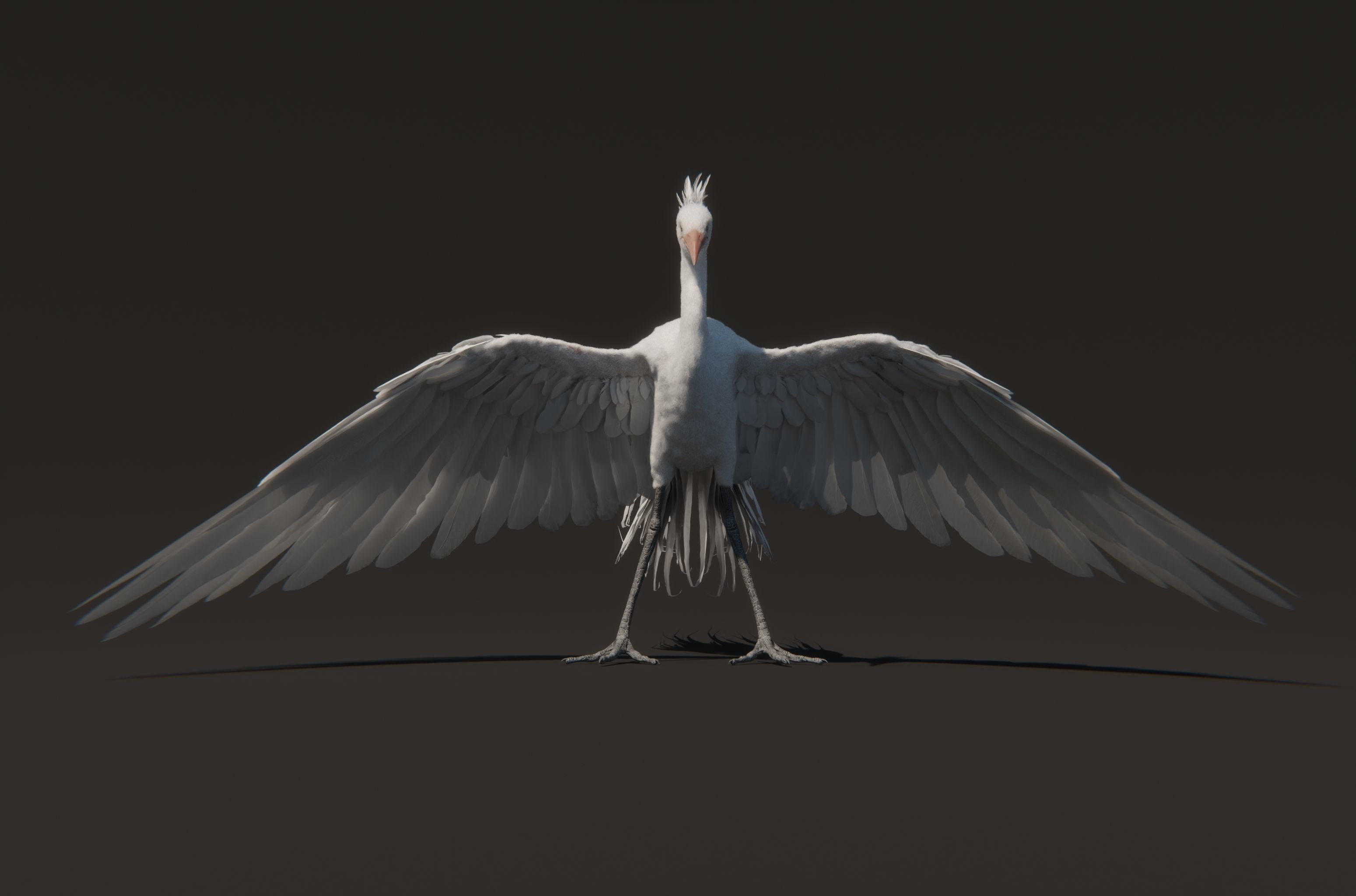 Chim Lac Bird - Rigged - Animated 3D model | CGTrader