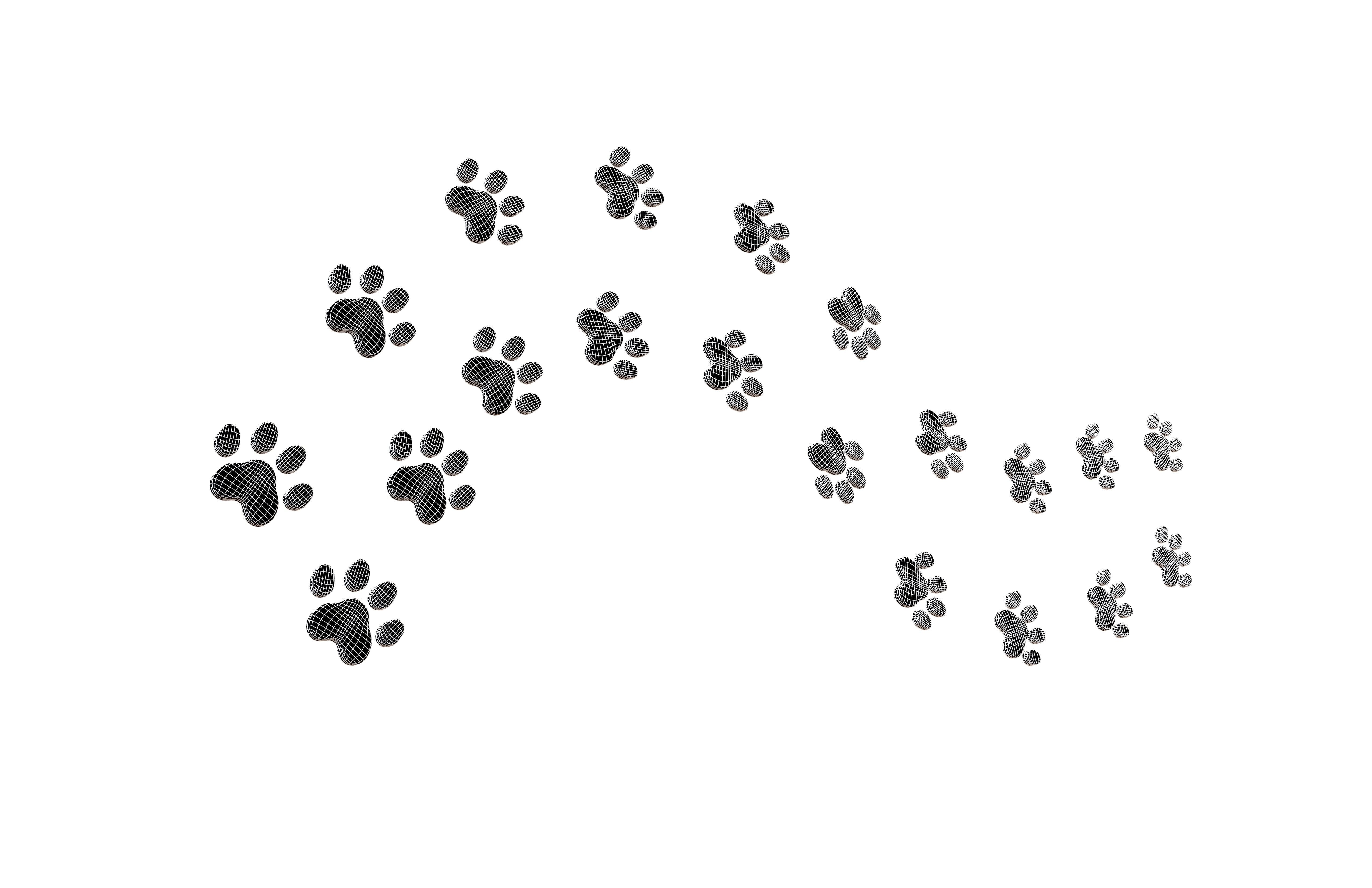 3D model Dog Paw Print Path v1 002 VR / AR / low-poly | CGTrader