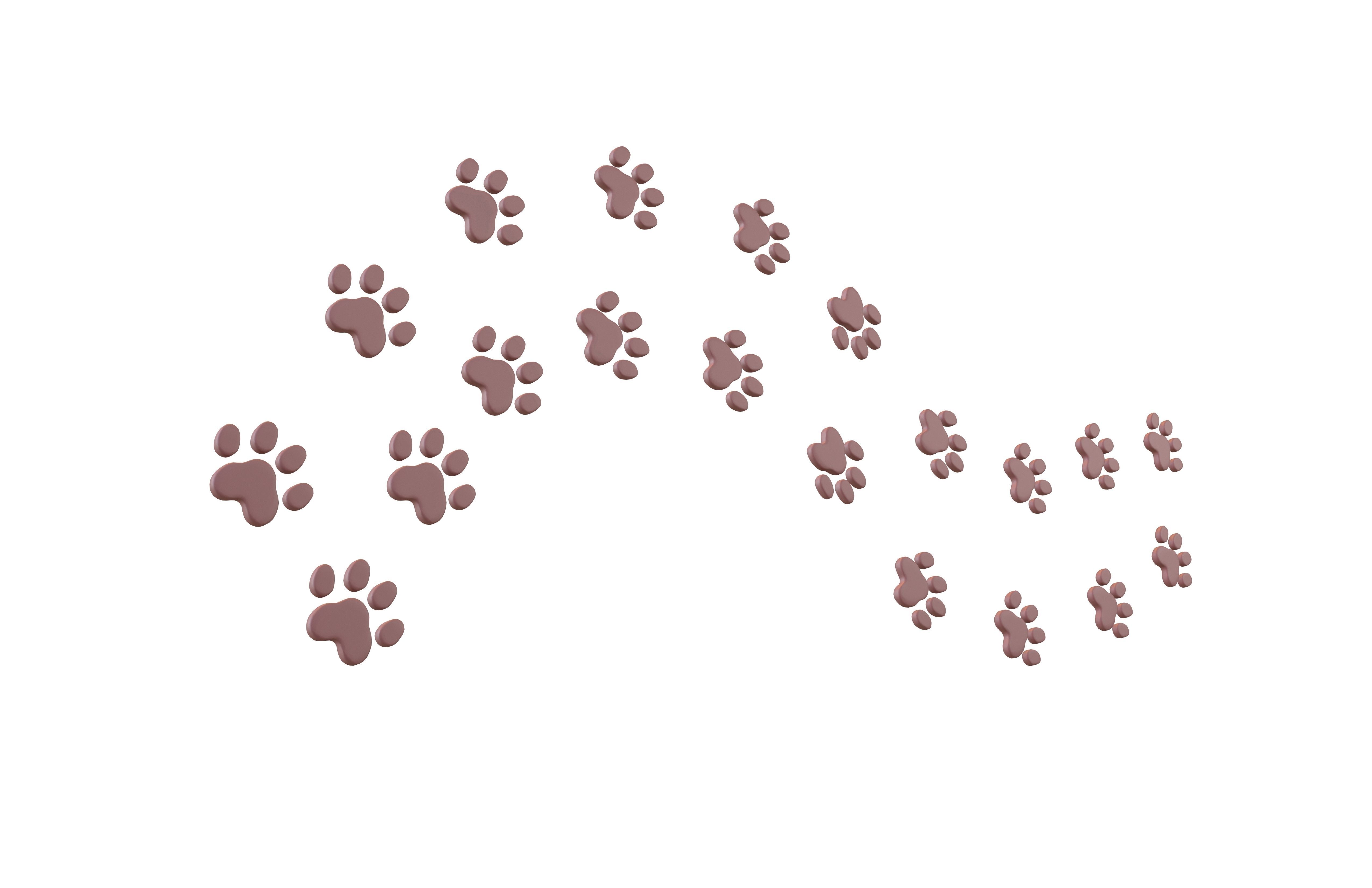 3D model Dog Paw Print Path v1 002 VR / AR / low-poly | CGTrader