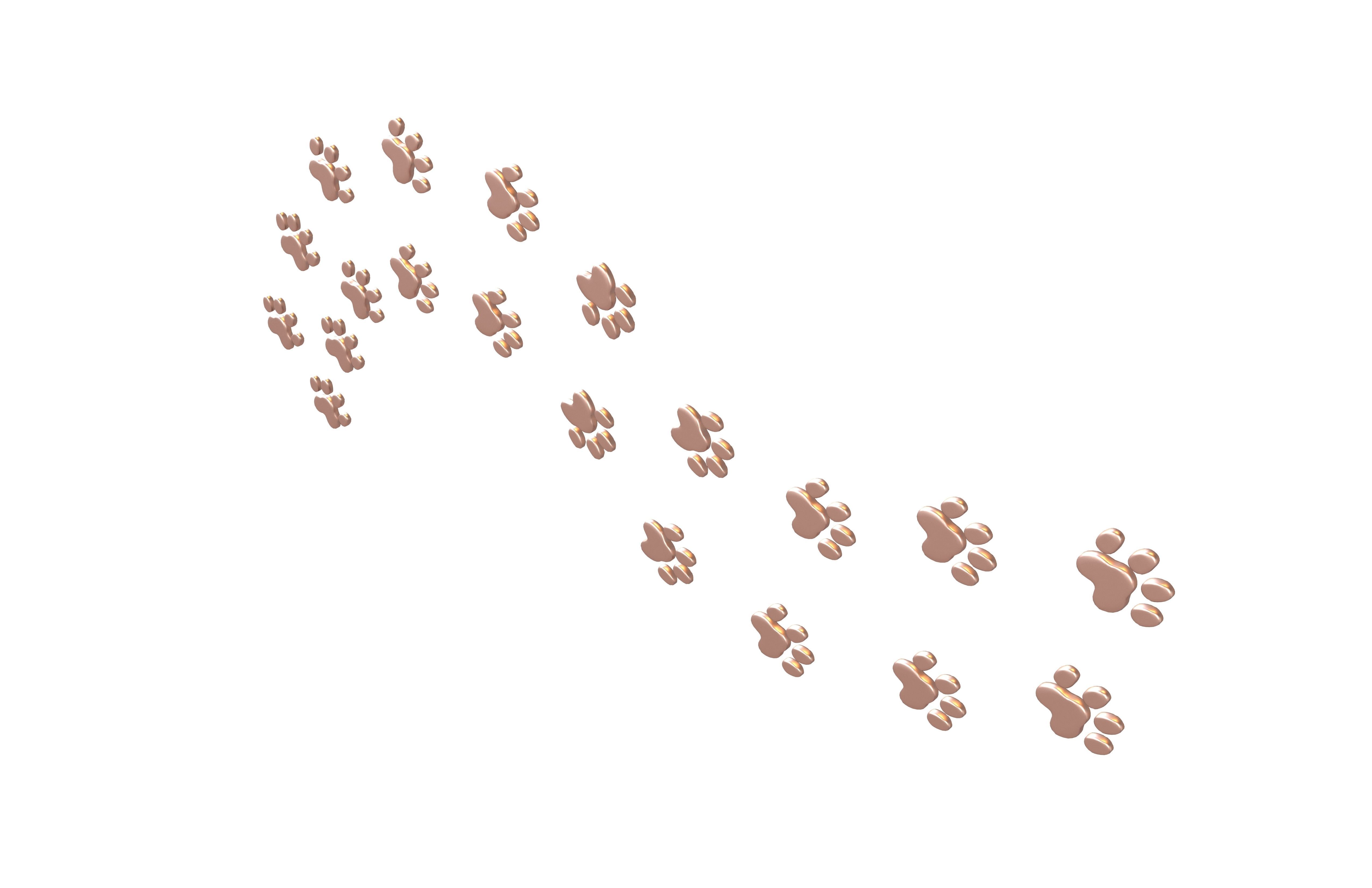 3D model Dog Paw Print Path v1 005 VR / AR / low-poly | CGTrader