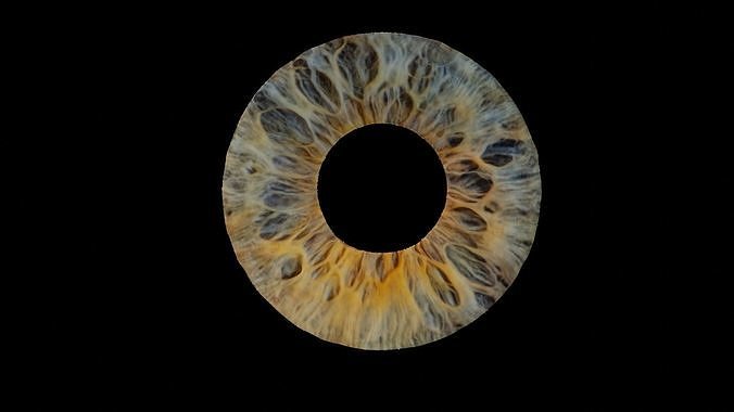 Human iris 3D model | CGTrader