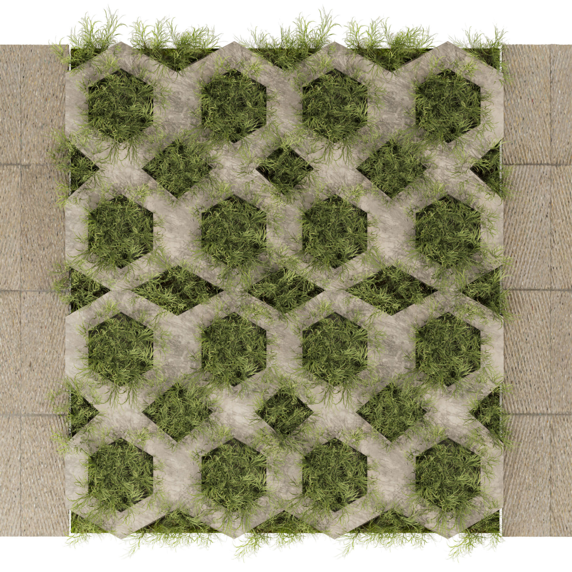Collection plant vol 499 - concrete - tileable - grass 3D model | CGTrader