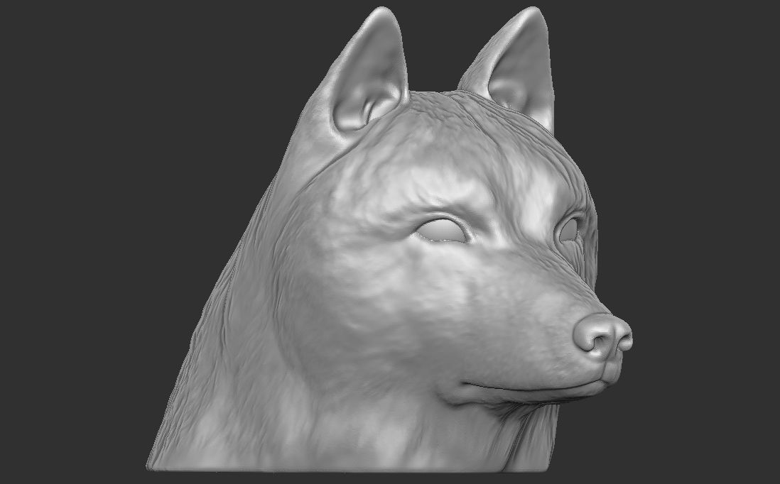 Syberian Husky dog head for 3D printing 3D model 3D printable | CGTrader