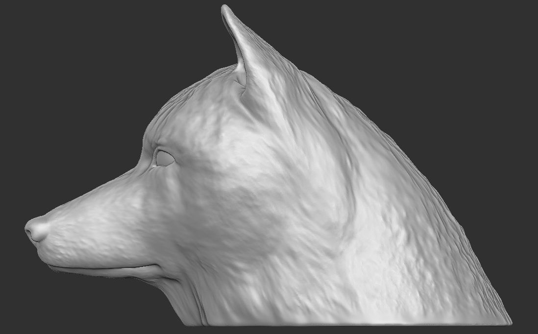 Syberian Husky dog head for 3D printing 3D model 3D printable | CGTrader