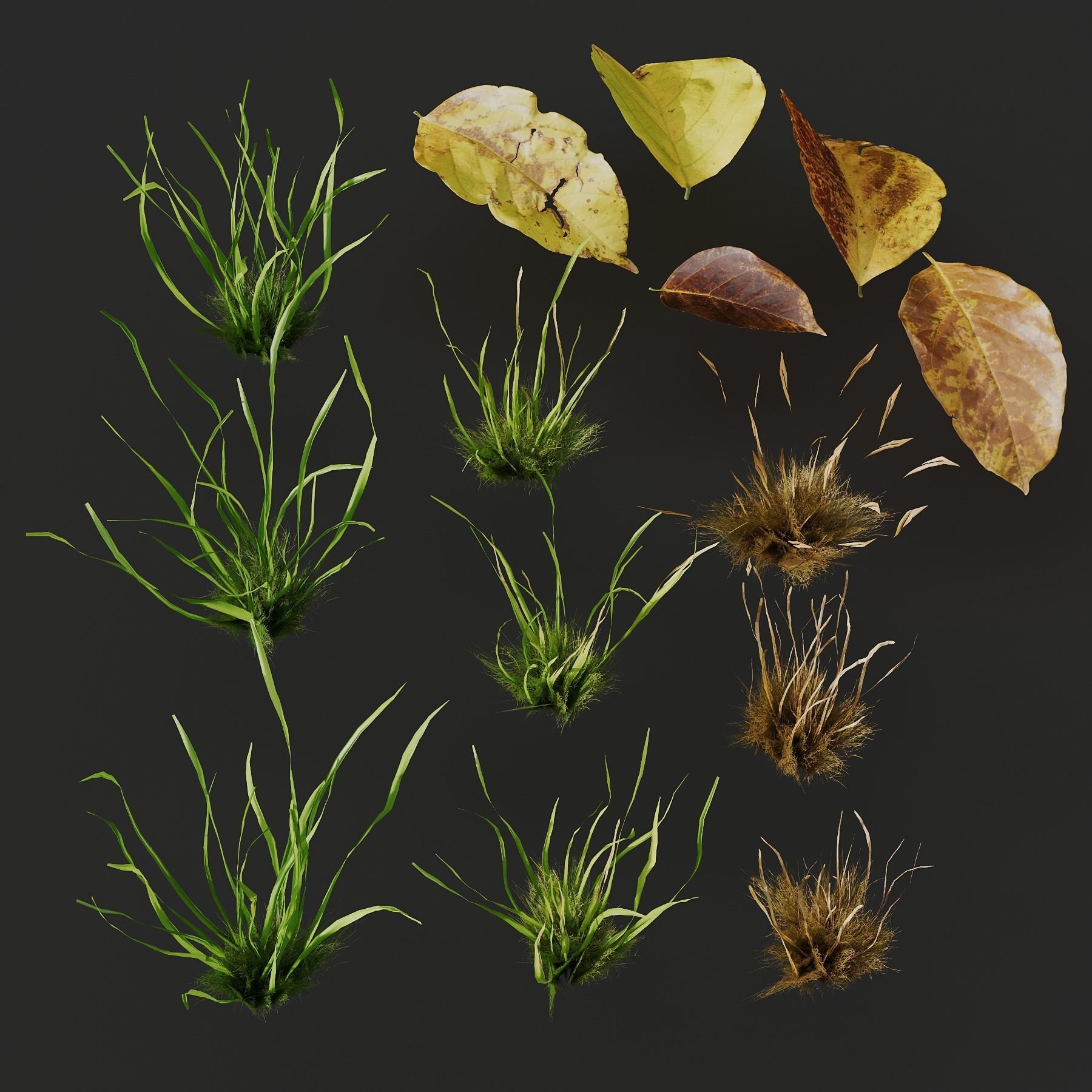 Grass Field Abstract Growing Summer 3D model | CGTrader