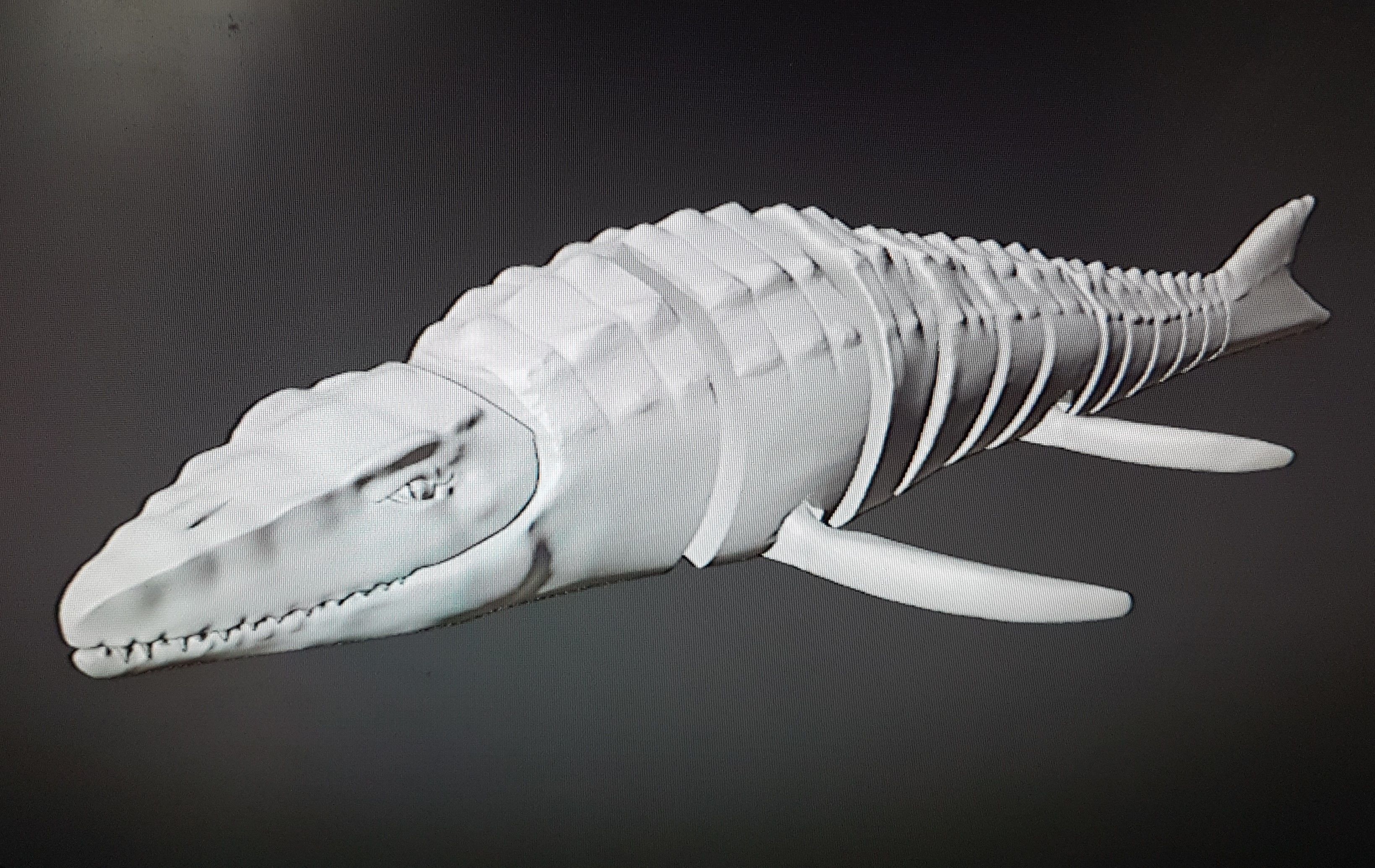 Mosasaur Flexi 3D model 3D printable | CGTrader