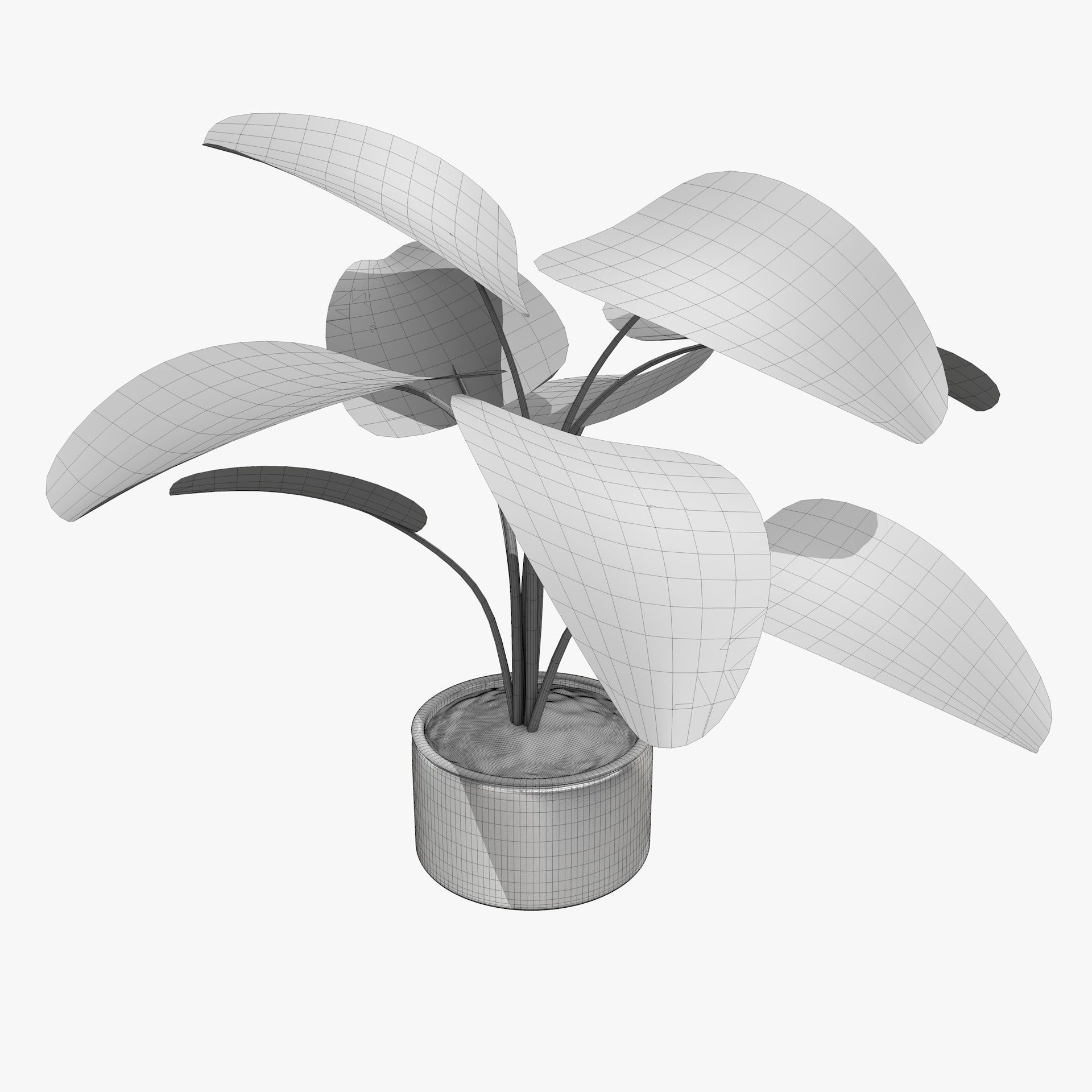 3D model Interior Tropical Plants Monstera Deliciosa Alocasia Low-poly ...