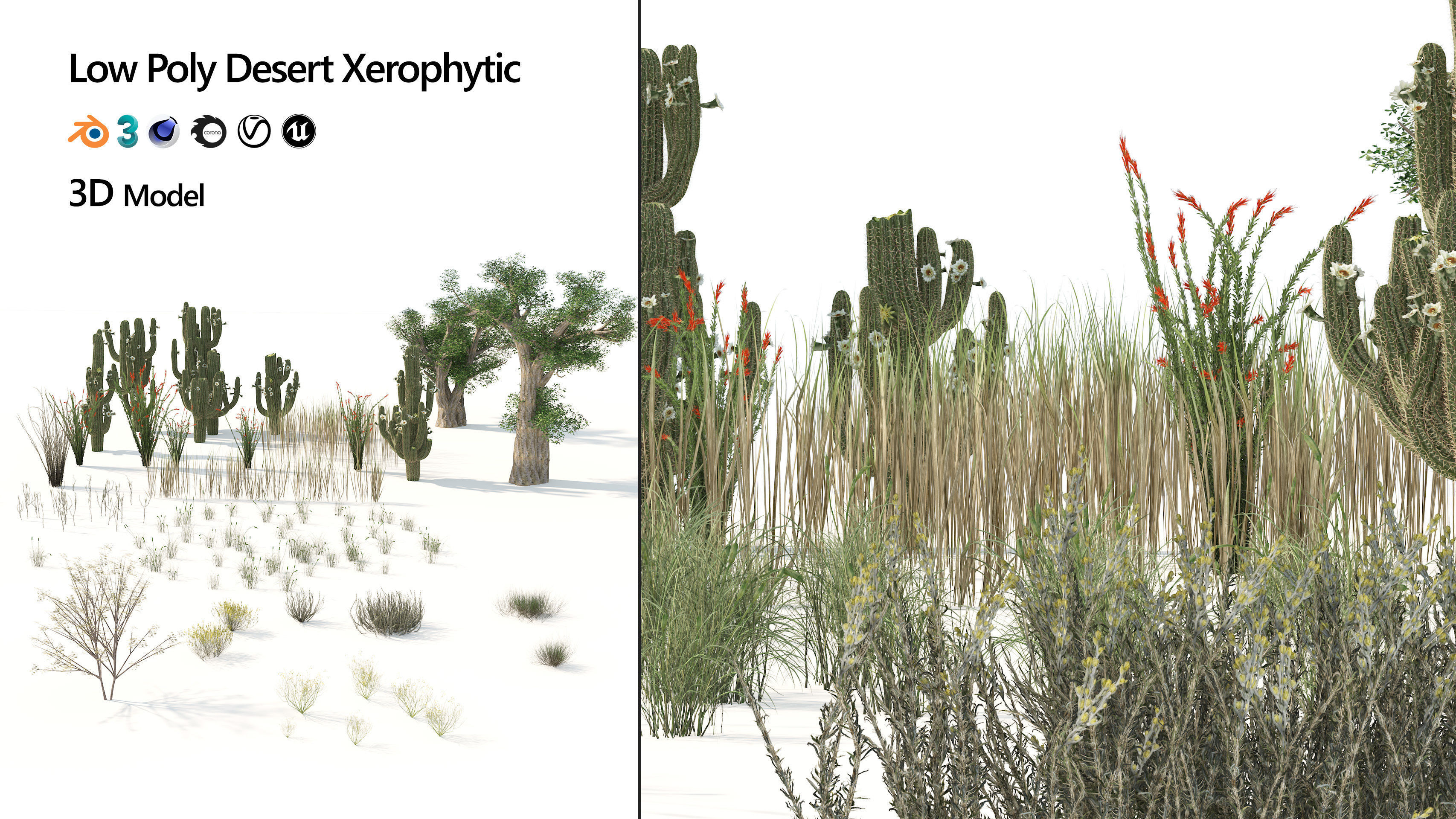 3D model low poly desert plants weed and trees VR / AR / low-poly ...