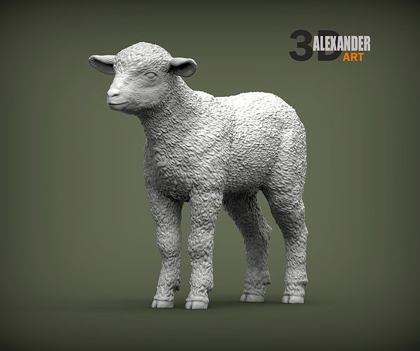 Lamb 3D print model 3D model 3D printable | CGTrader