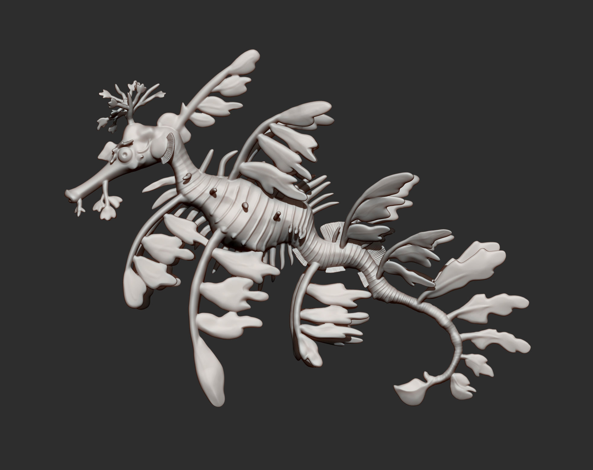 Sea Dragon 3D model 3D printable | CGTrader