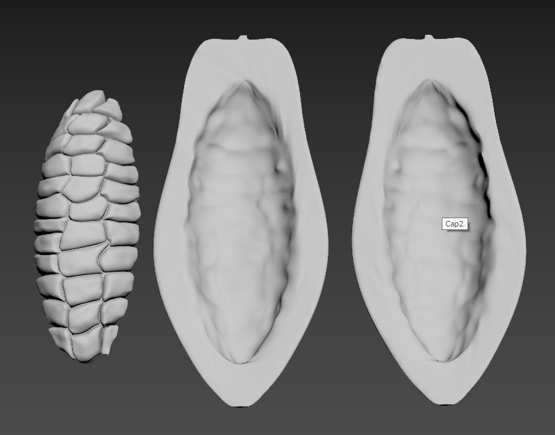 Cacao Fruit 3D STL Model for printing 3D model 3D printable | CGTrader