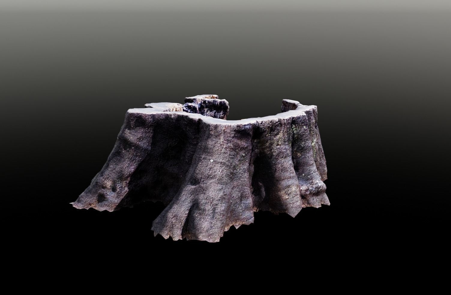 Wood Scan Asset 1 3D model | CGTrader