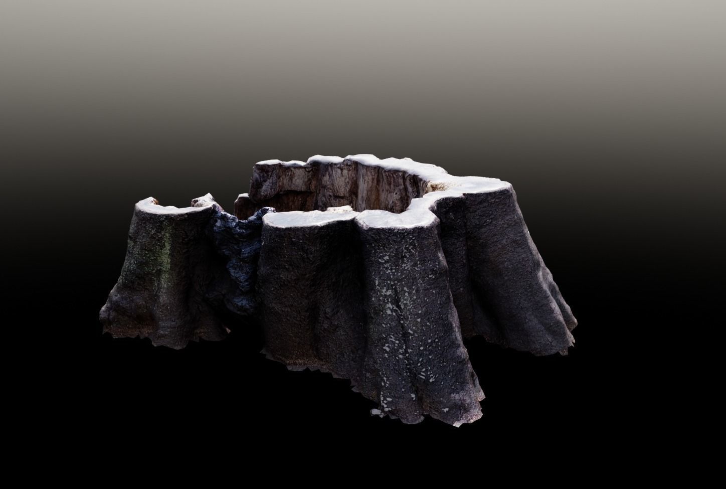 Wood Scan Asset 1 3D model | CGTrader