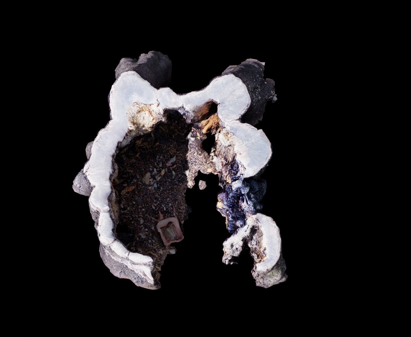 Wood Scan Asset 1 3D model | CGTrader