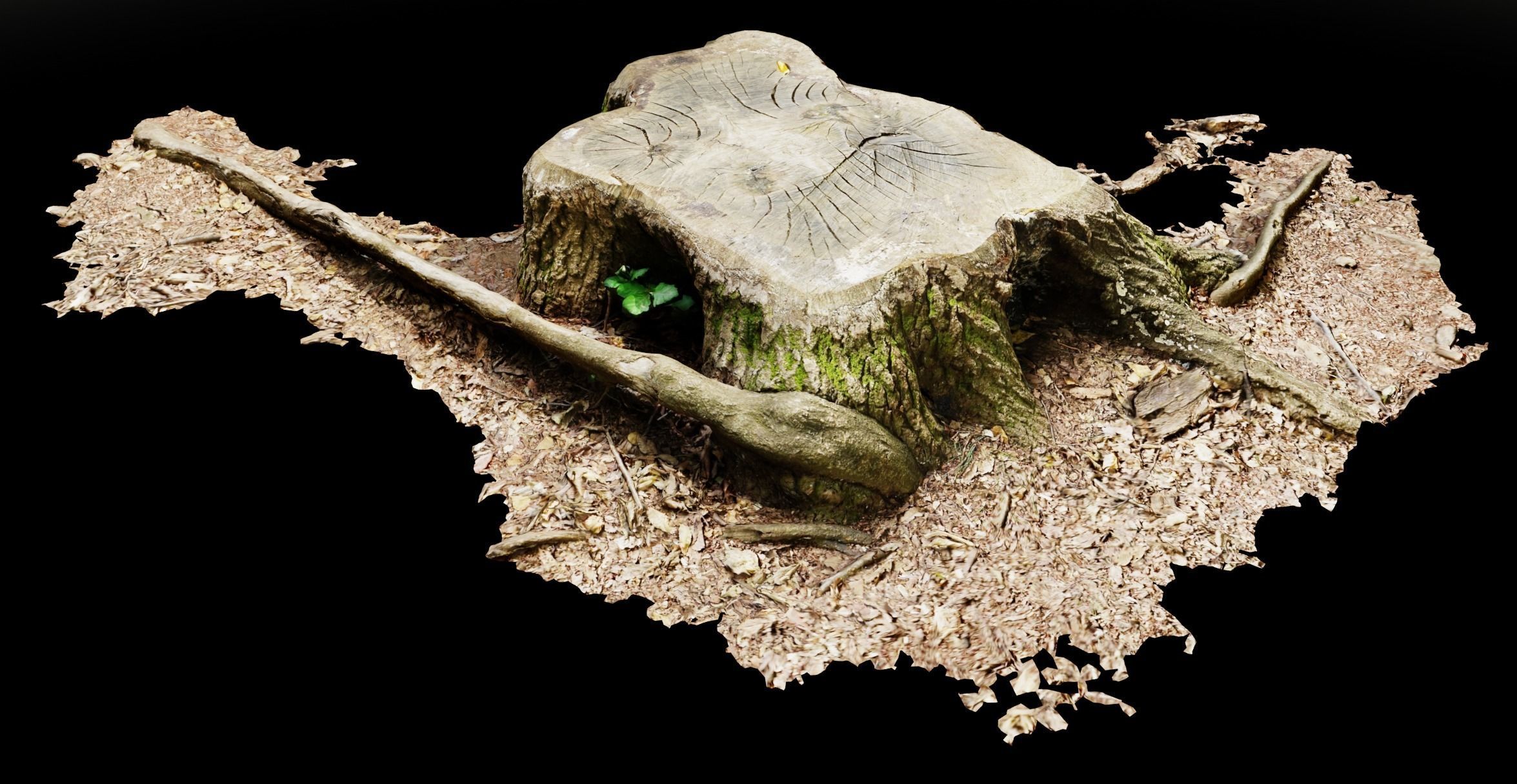 Wood Scan Asset 7 3D model | CGTrader