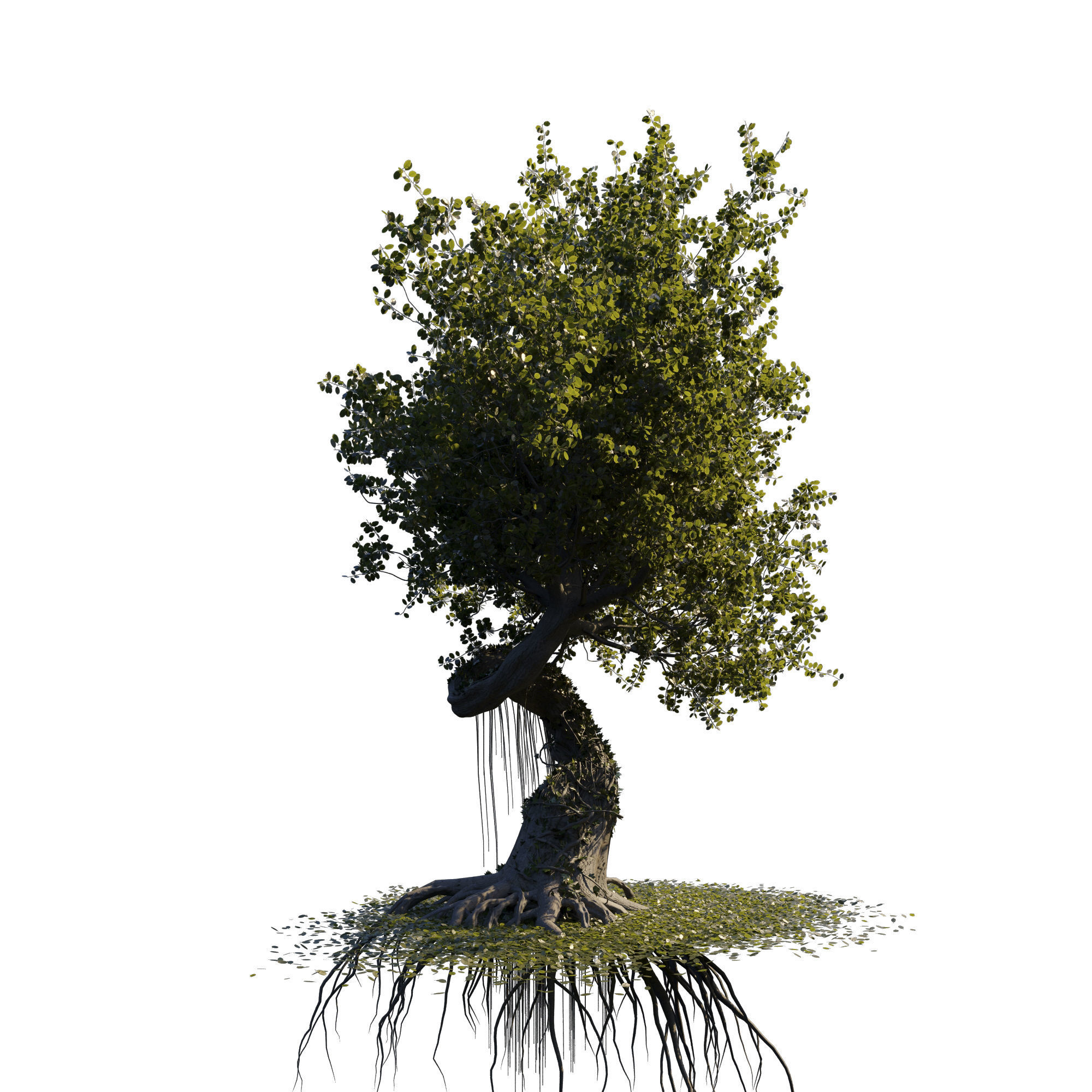 fantasy tree animated 3D model animated | CGTrader