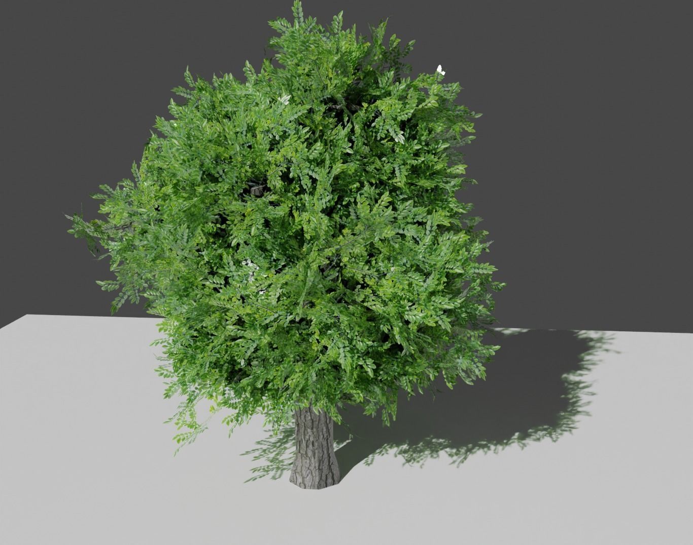 3D model flora tree VR / AR / low-poly | CGTrader
