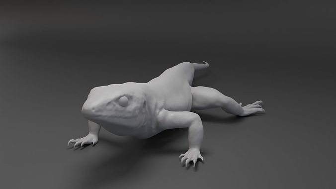 Lizard Sculpt 3D model | CGTrader