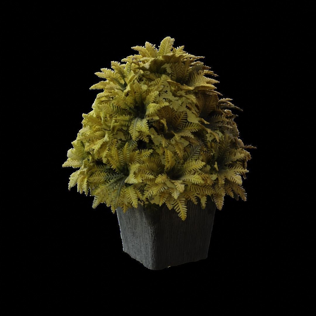 Artificial Plant 3D scan free 3D model | CGTrader