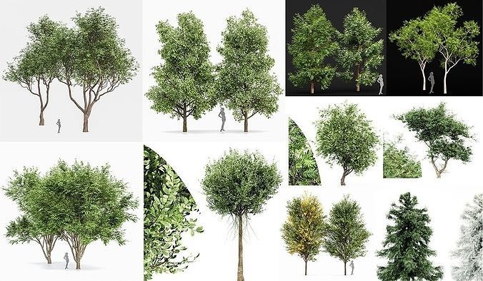 10 Different SETS of Trees SET VOL02 3D Model Collection | CGTrader