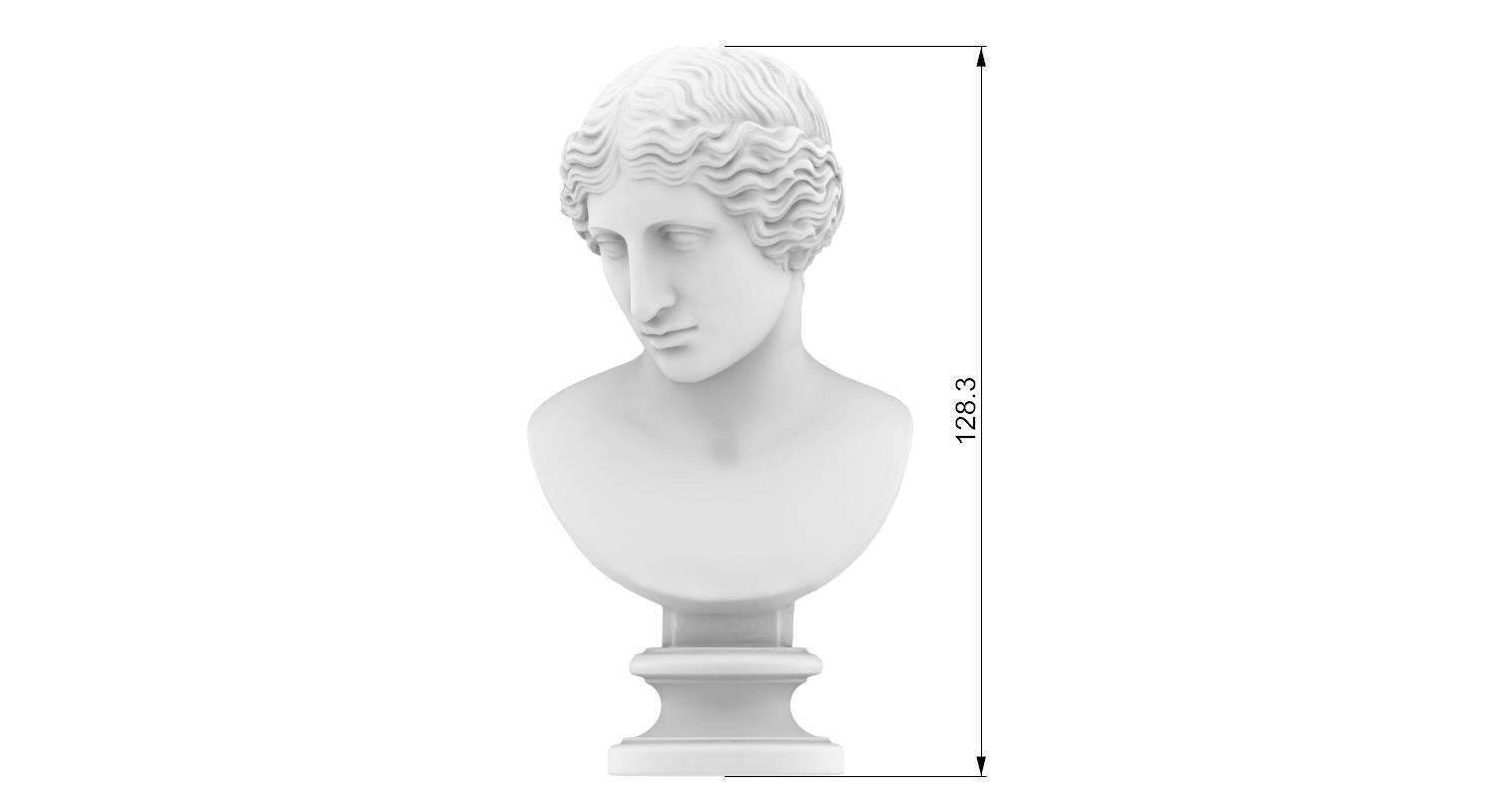 Amazon bust 3D model 3D printable | CGTrader
