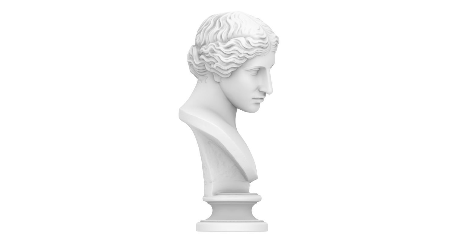 Amazon bust 3D model 3D printable | CGTrader