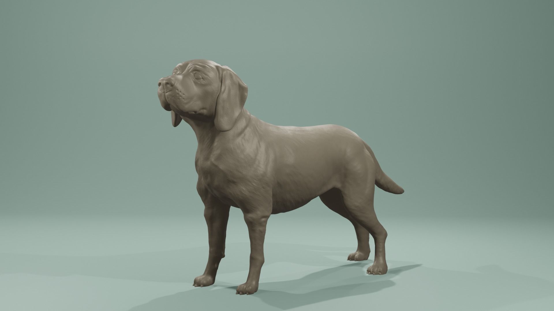 Realistic Beagle Huntingdog pet for printing highpoly 3D model 3D ...