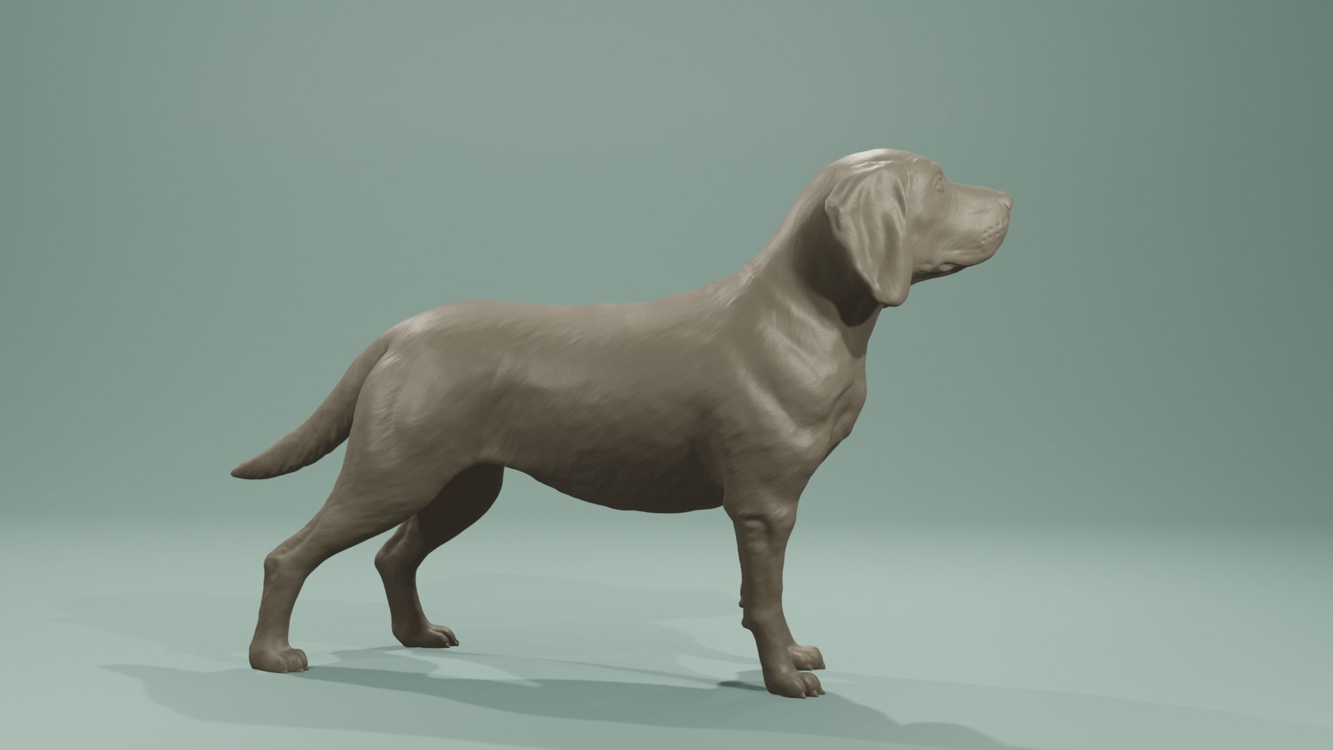 Realistic Beagle Huntingdog pet for printing highpoly 3D model 3D ...