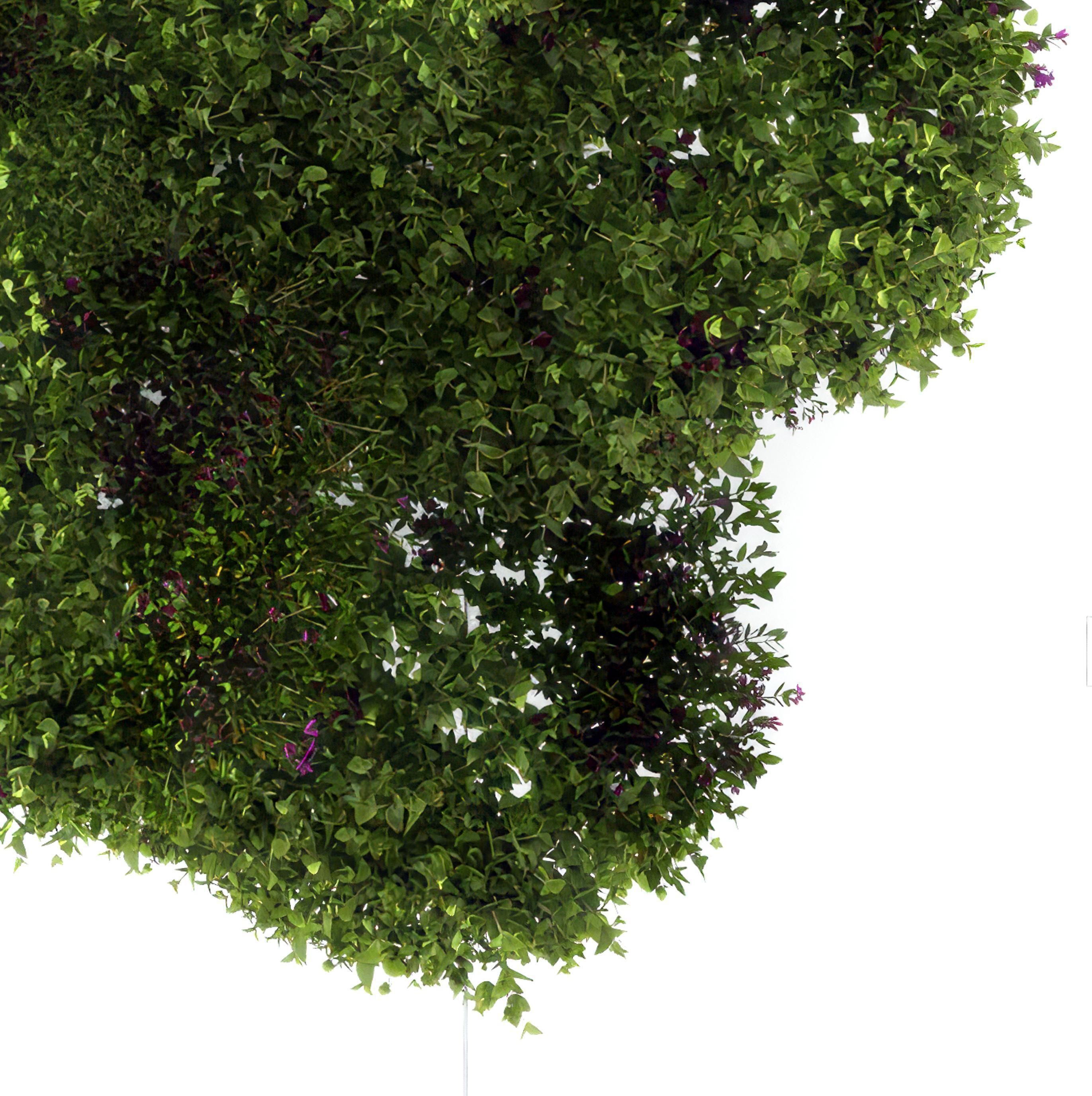 outdoor Modern greenery 3D model | CGTrader