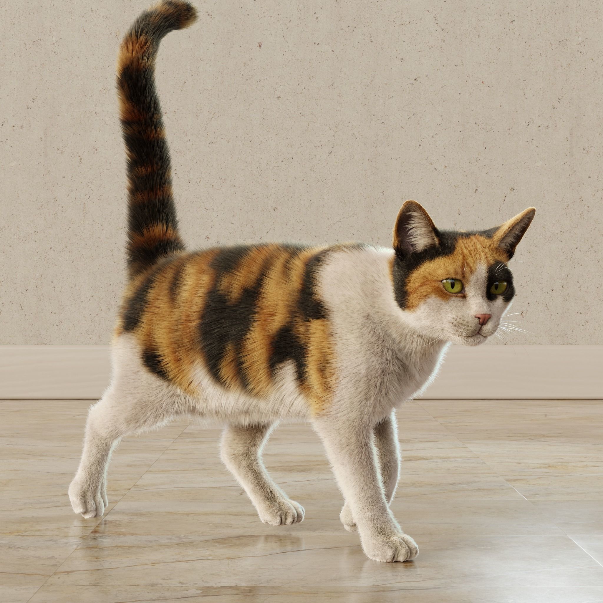 Cat Calico Rigged Animated 3D model animated rigged | CGTrader