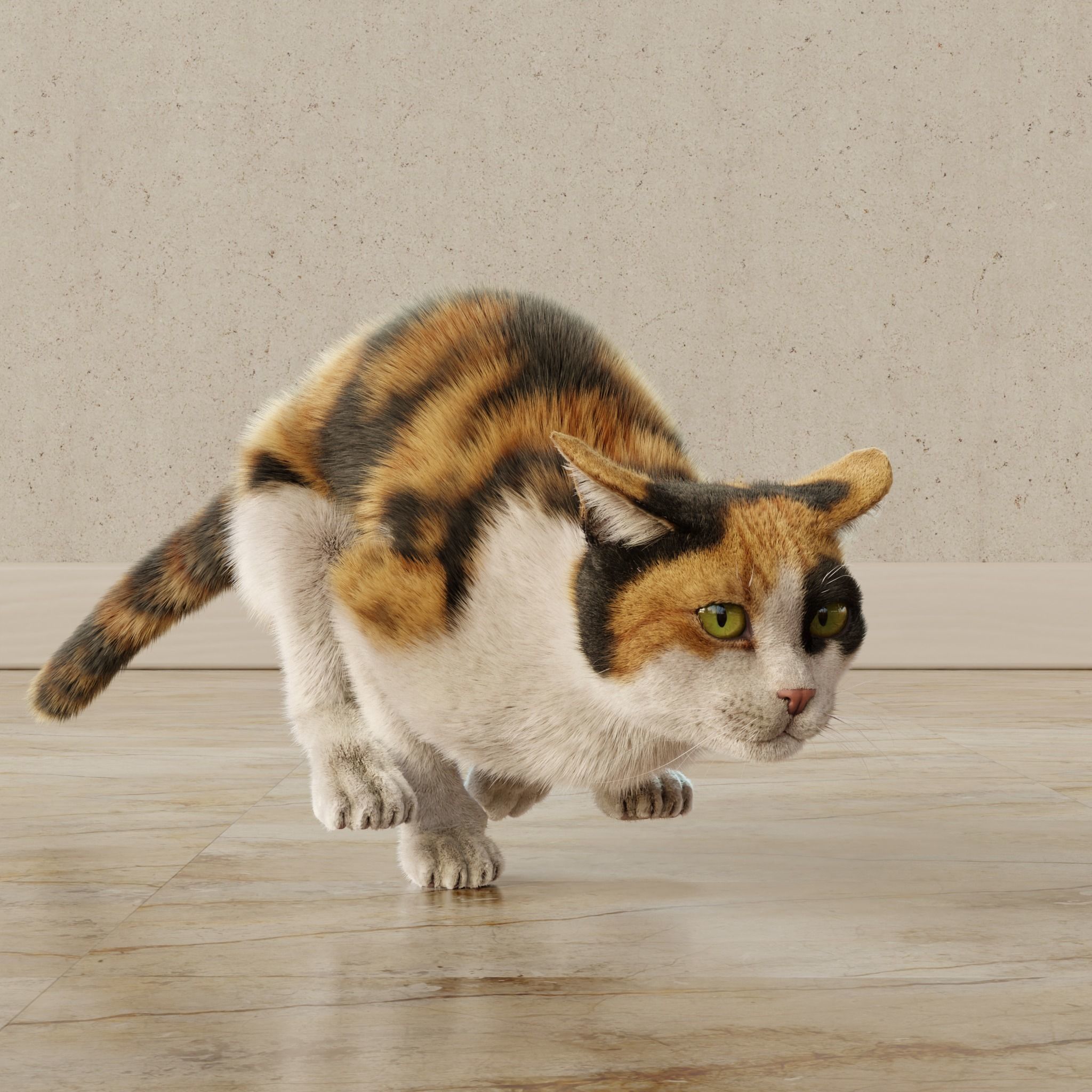 Cat Calico Rigged Animated 3D model animated rigged | CGTrader