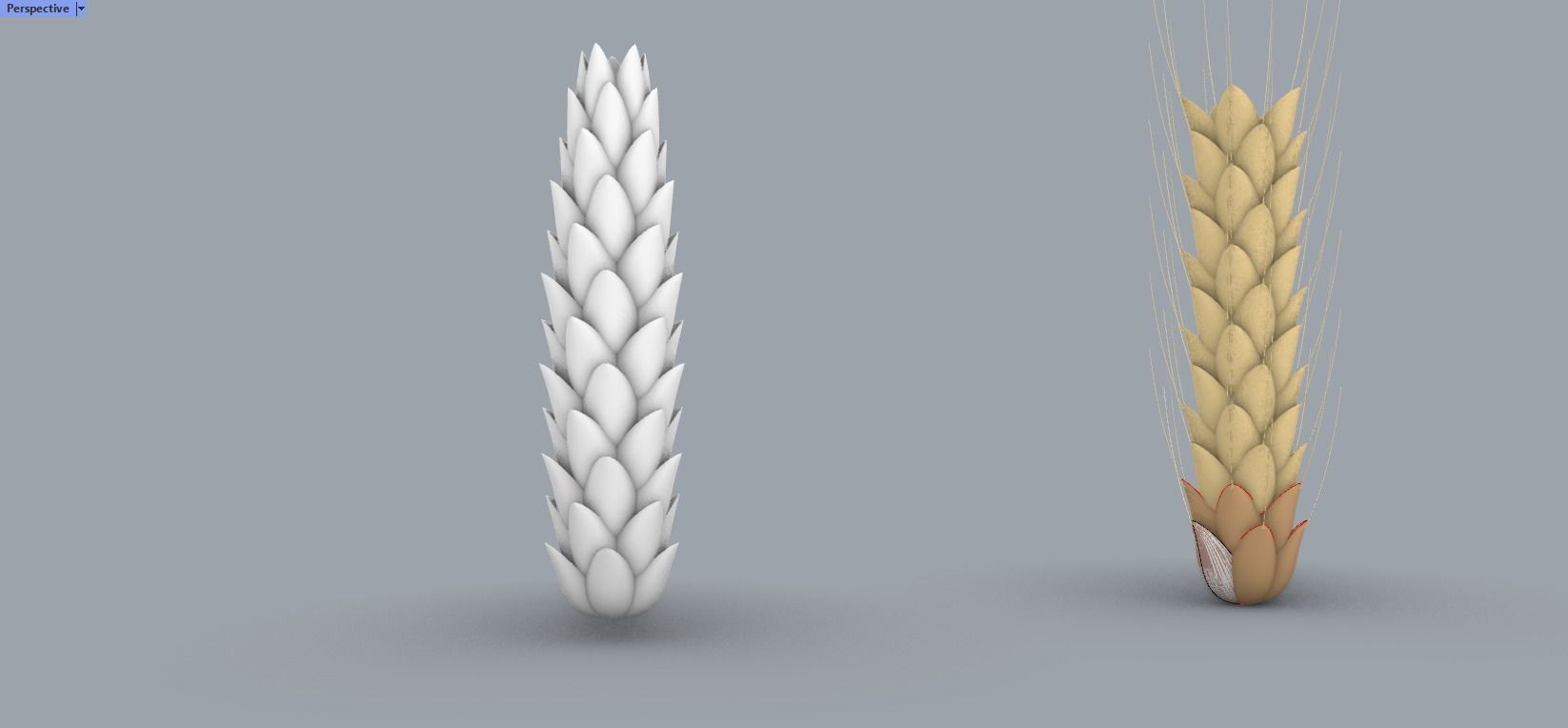 wheat parametric free 3D model 3D printable | CGTrader